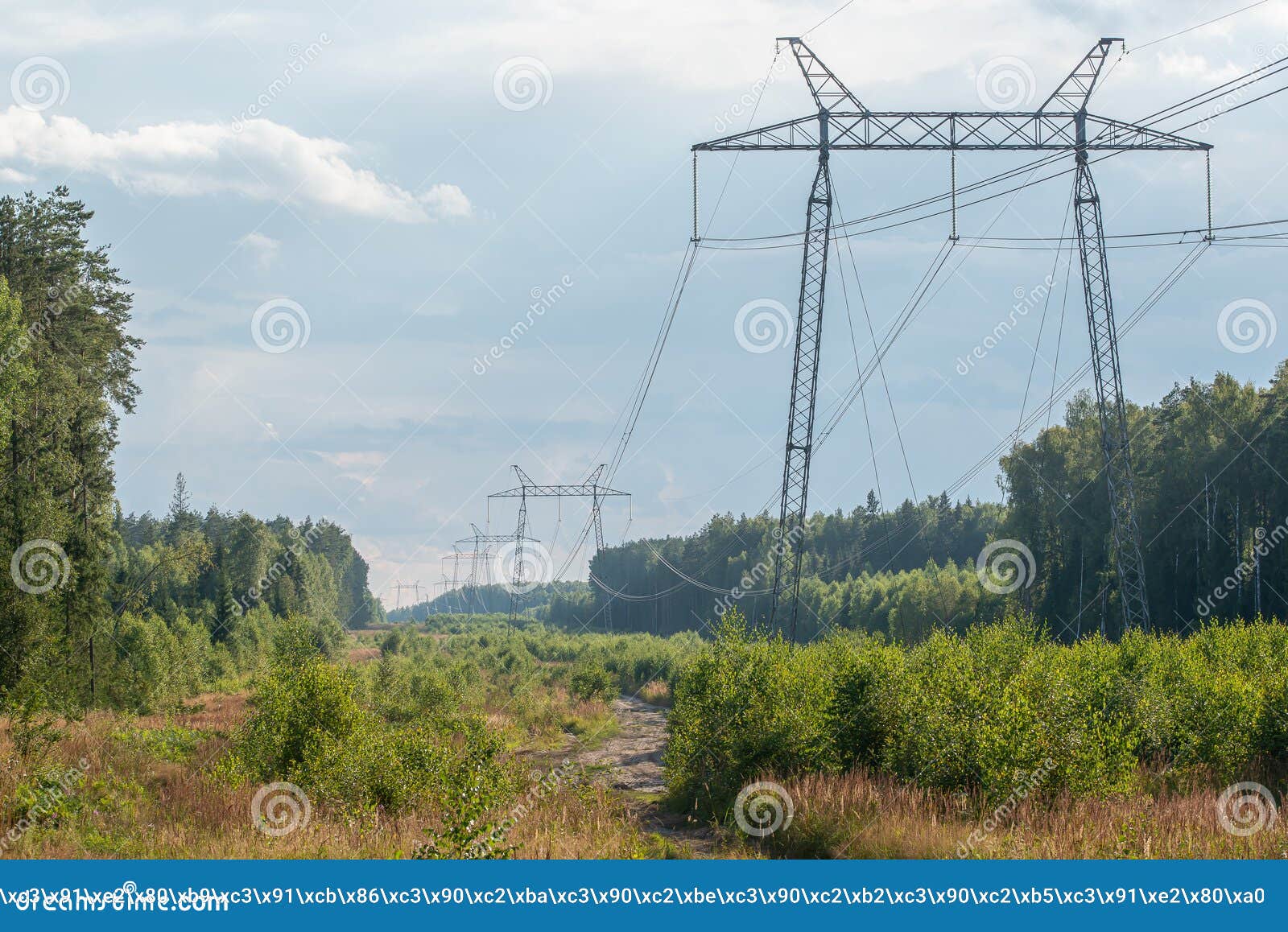 High-voltage Power Line in the Forest Stock Image - Image of generator ...