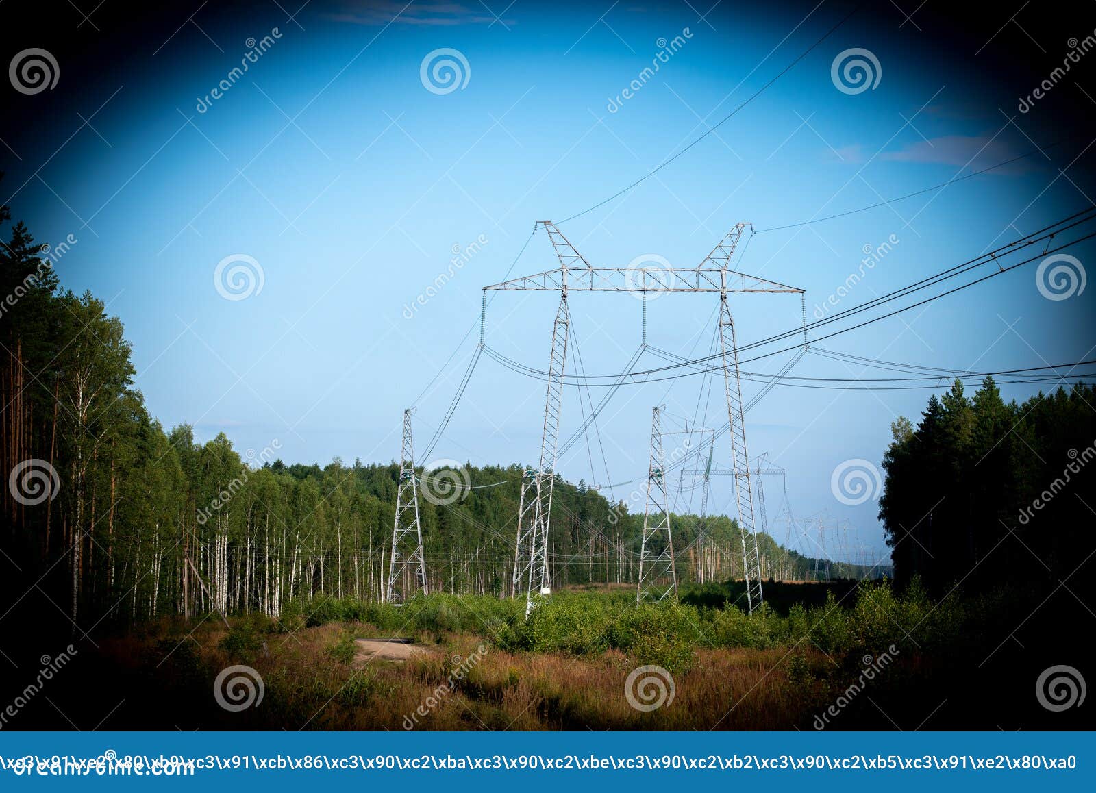 High-voltage Power Line in the Forest Stock Image - Image of forest ...