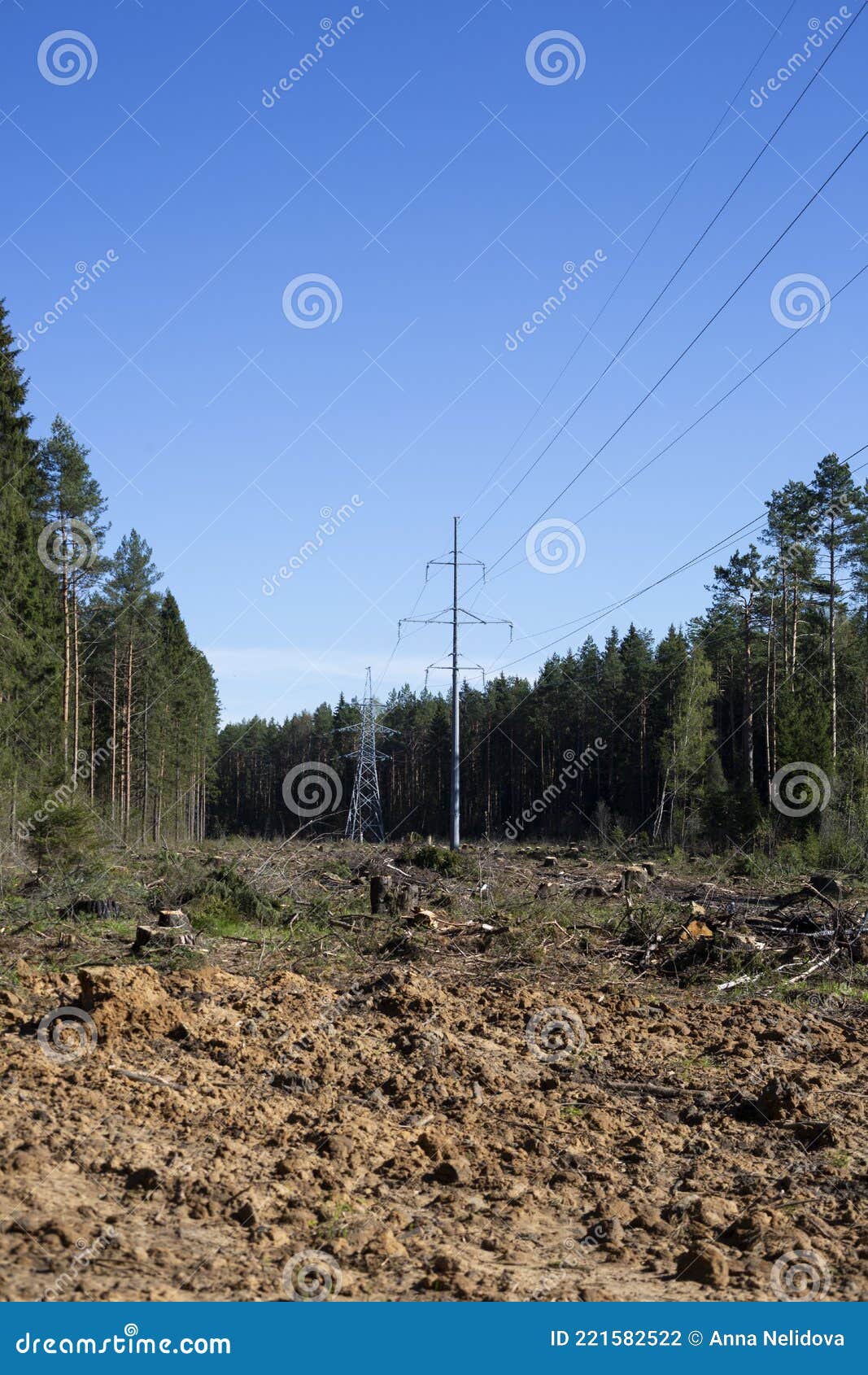 High-voltage Power Line in the Forest. Deforestation for Modern ...