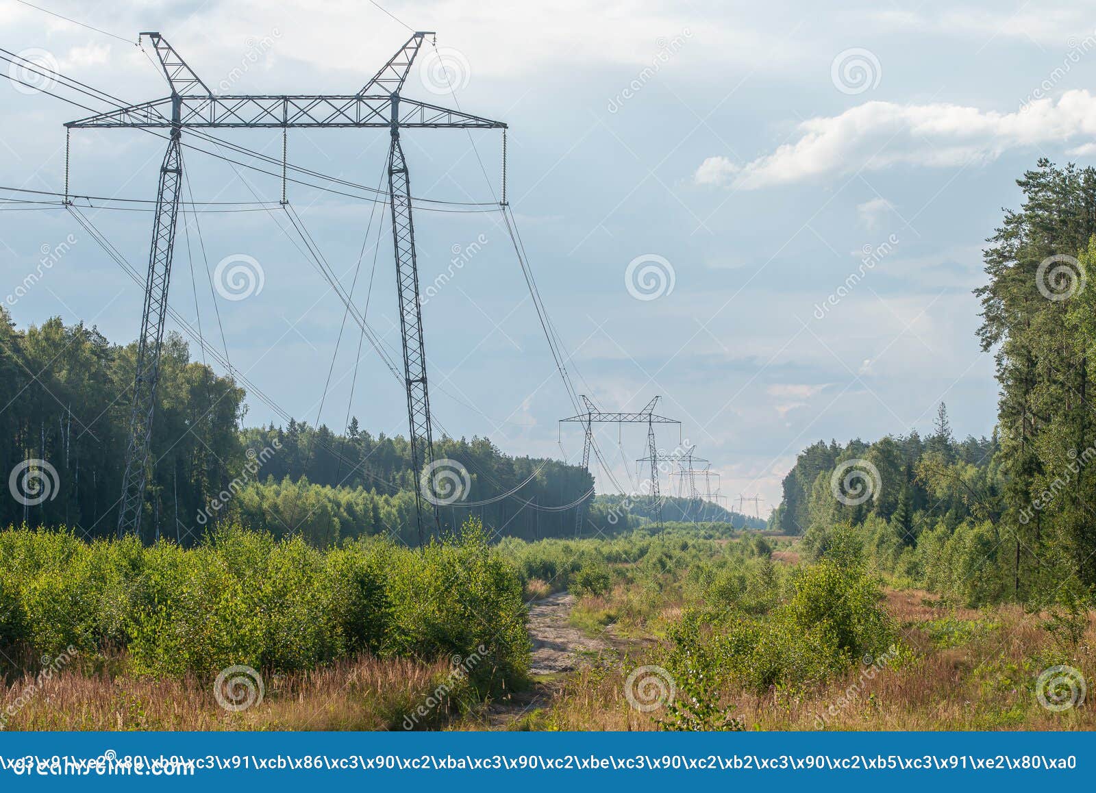 High-voltage Power Line in the Forest Stock Image - Image of line ...