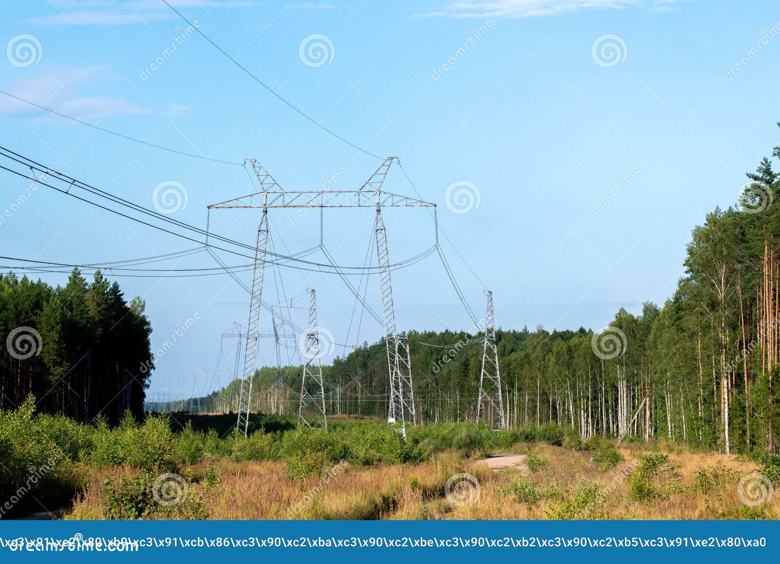 High-voltage Power Line in the Forest Stock Photo - Image of power ...