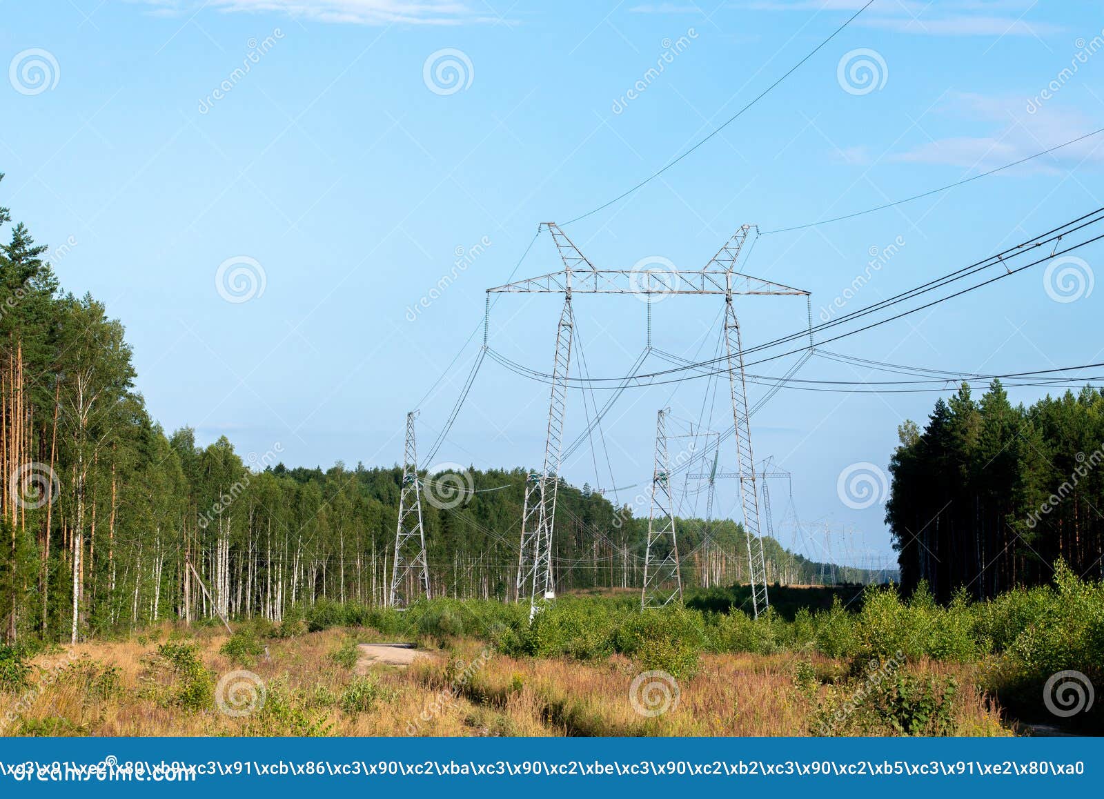 High-voltage Power Line in the Forest Stock Image - Image of high ...