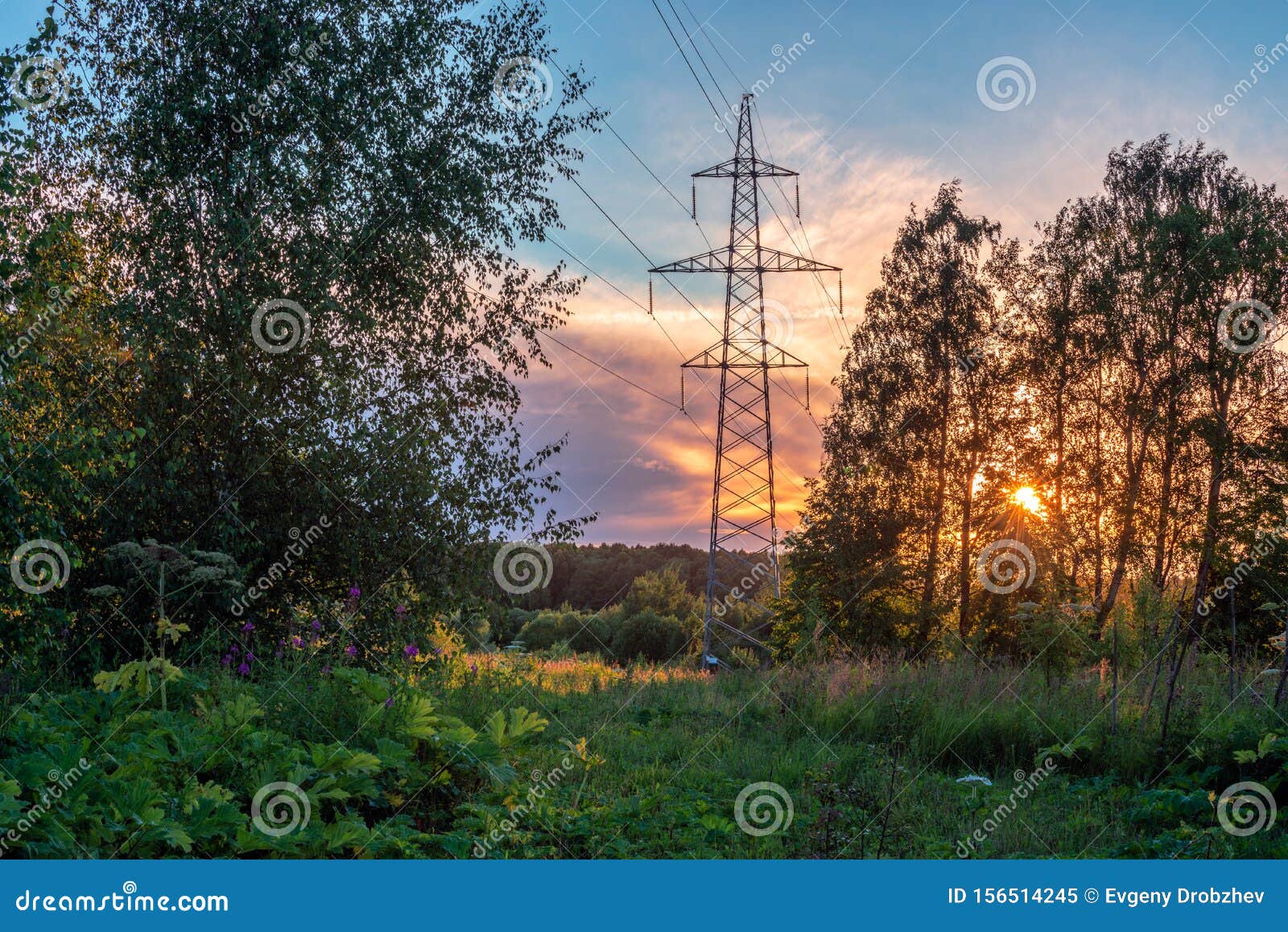 High Voltage Power Line in Forest at Sunset Stock Image - Image of ...
