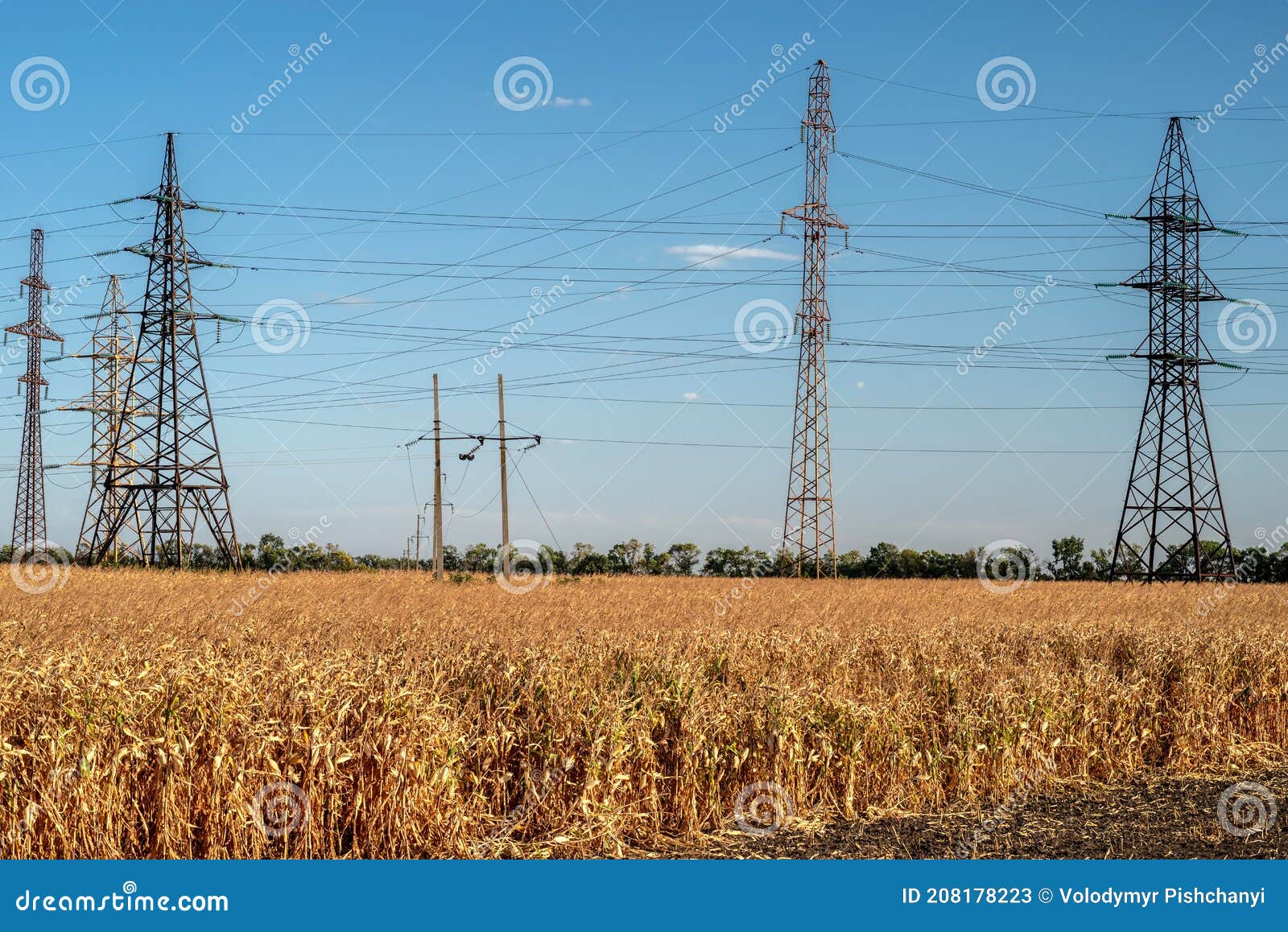High Voltage Power Line in the Middle of a Cornfield Stock Image ...