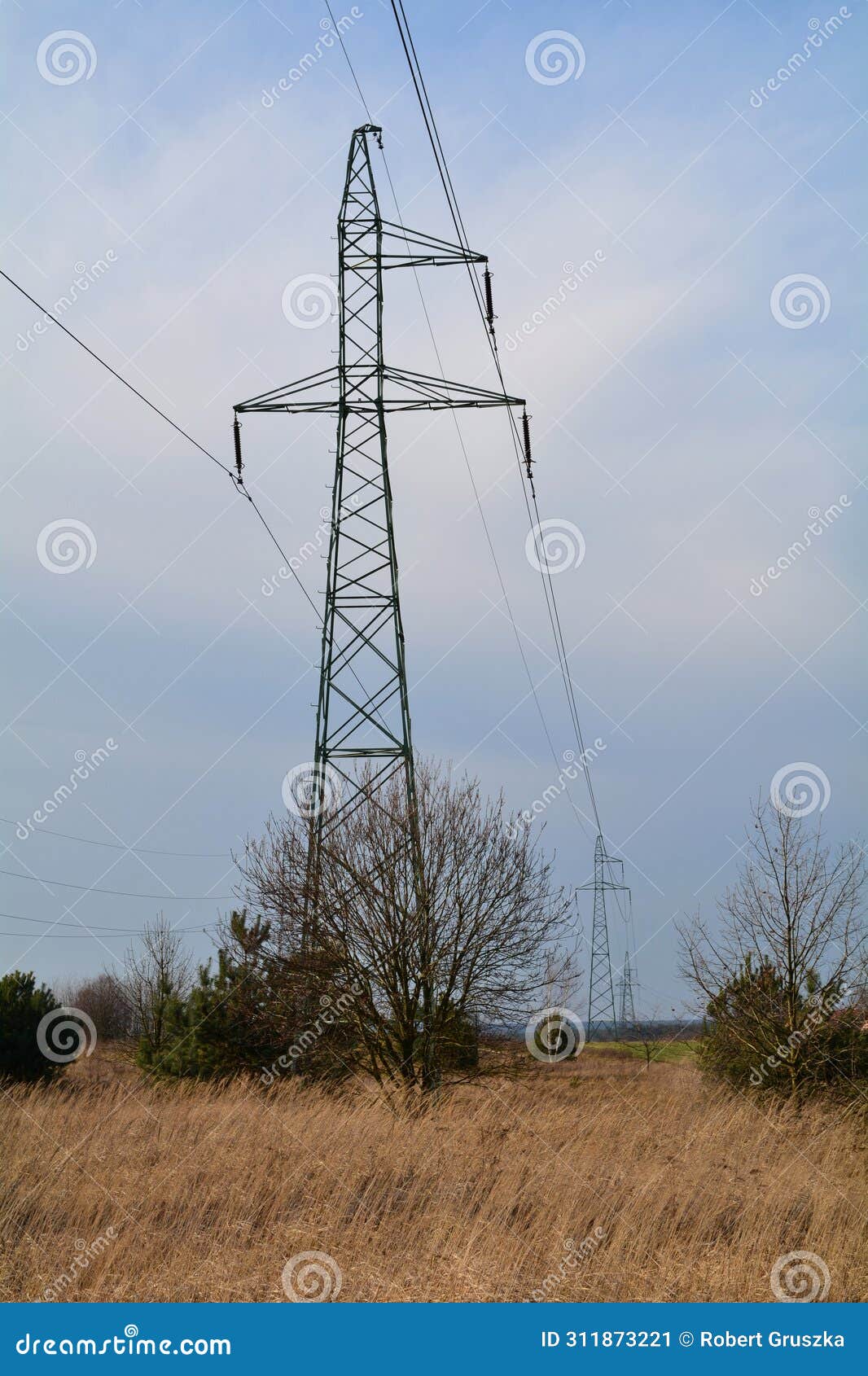 Power line pole stock image. Image of communication - 311873221
