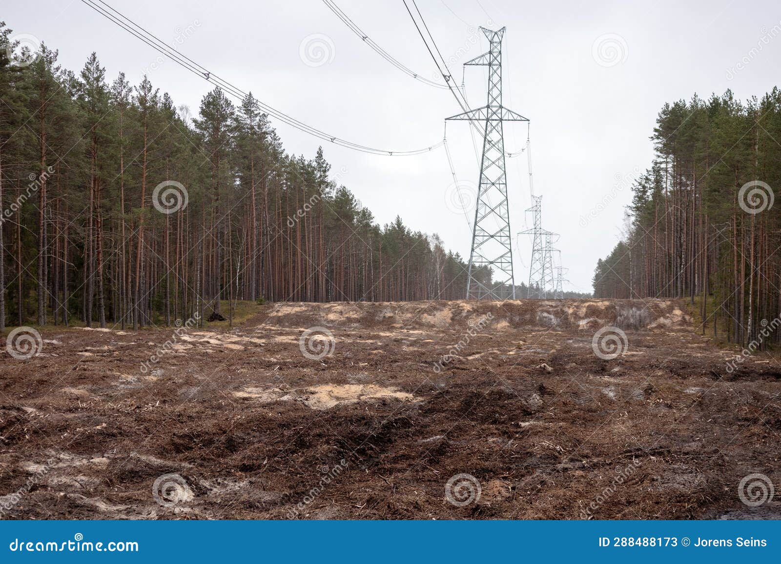 Power Lines on the Forest Line Stock Image - Image of electric, ecology ...