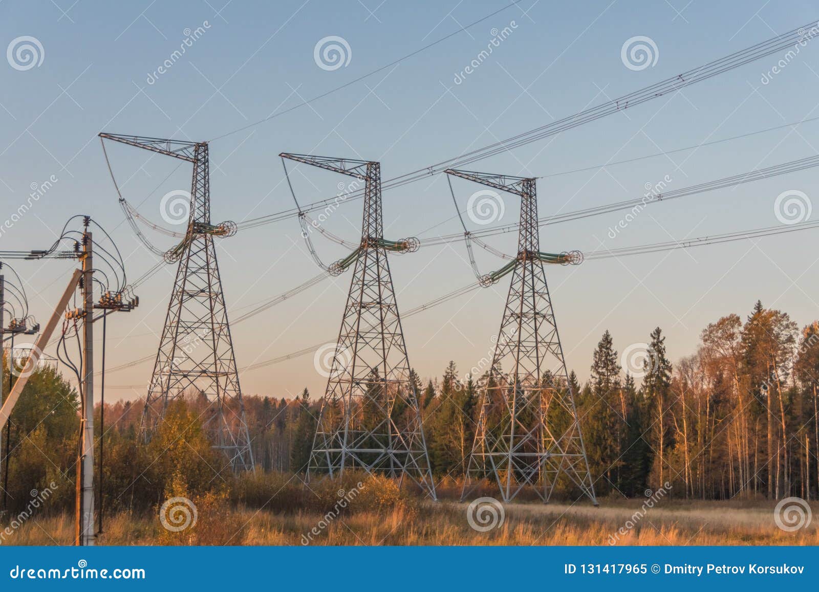 The High-voltage Power Lines in the Forest among the Trees Stock Image ...