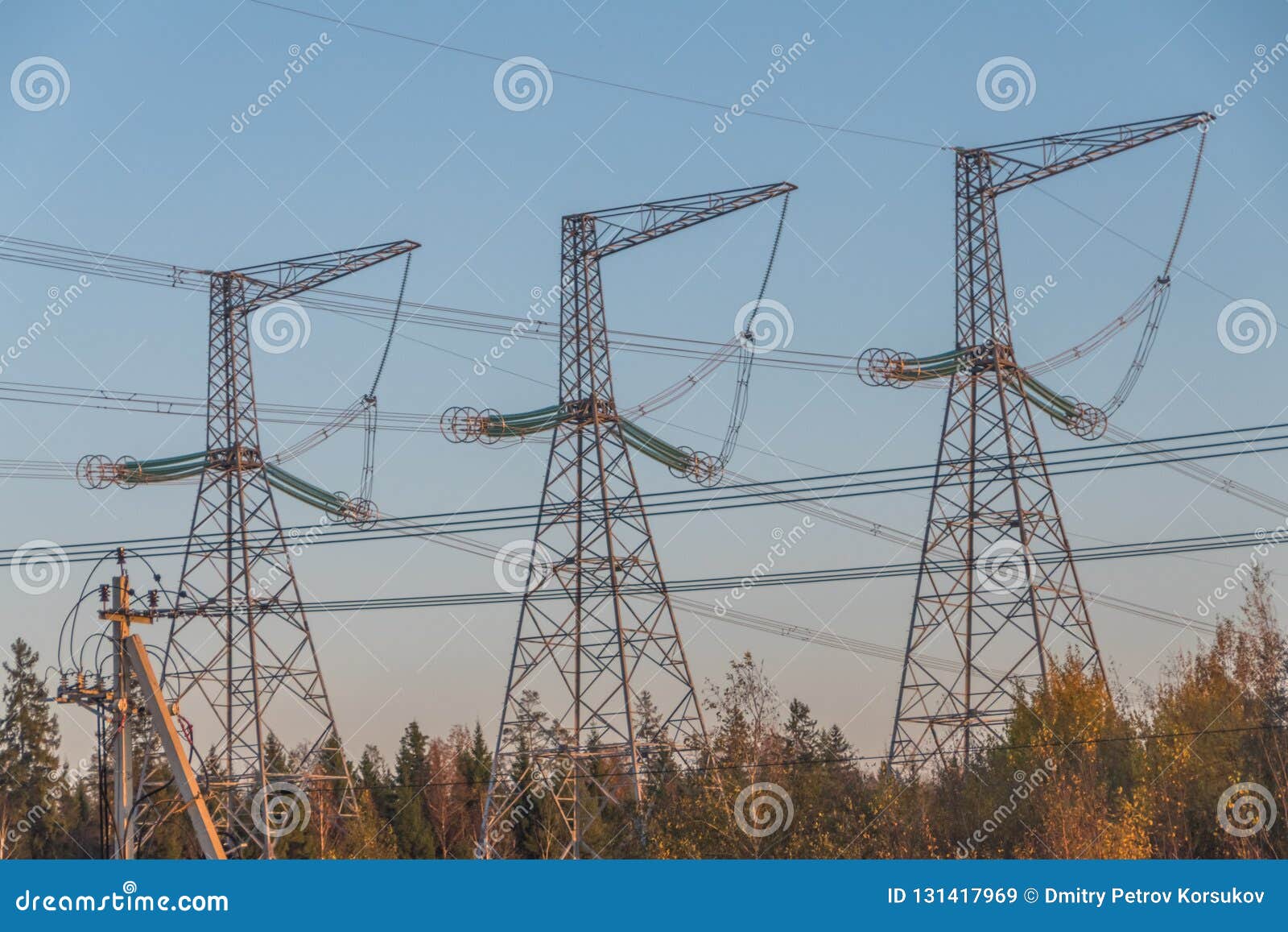 The High-voltage Power Lines in the Forest among the Trees Stock Image ...