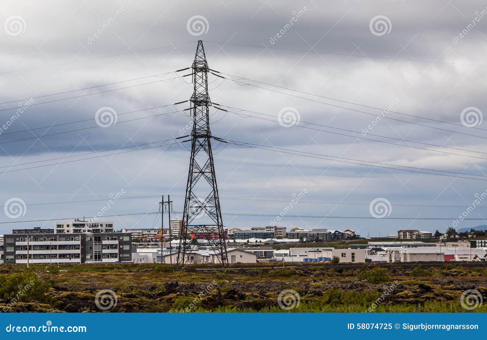 High Voltage Power Lines stock image. Image of city, plant - 58074725