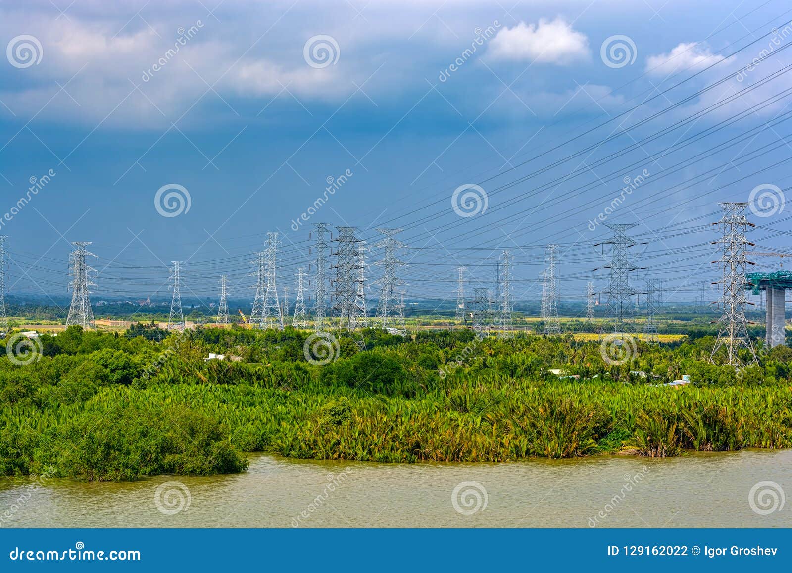 High-voltage Power Lines Over Jungle Stock Photo - Image of palm ...