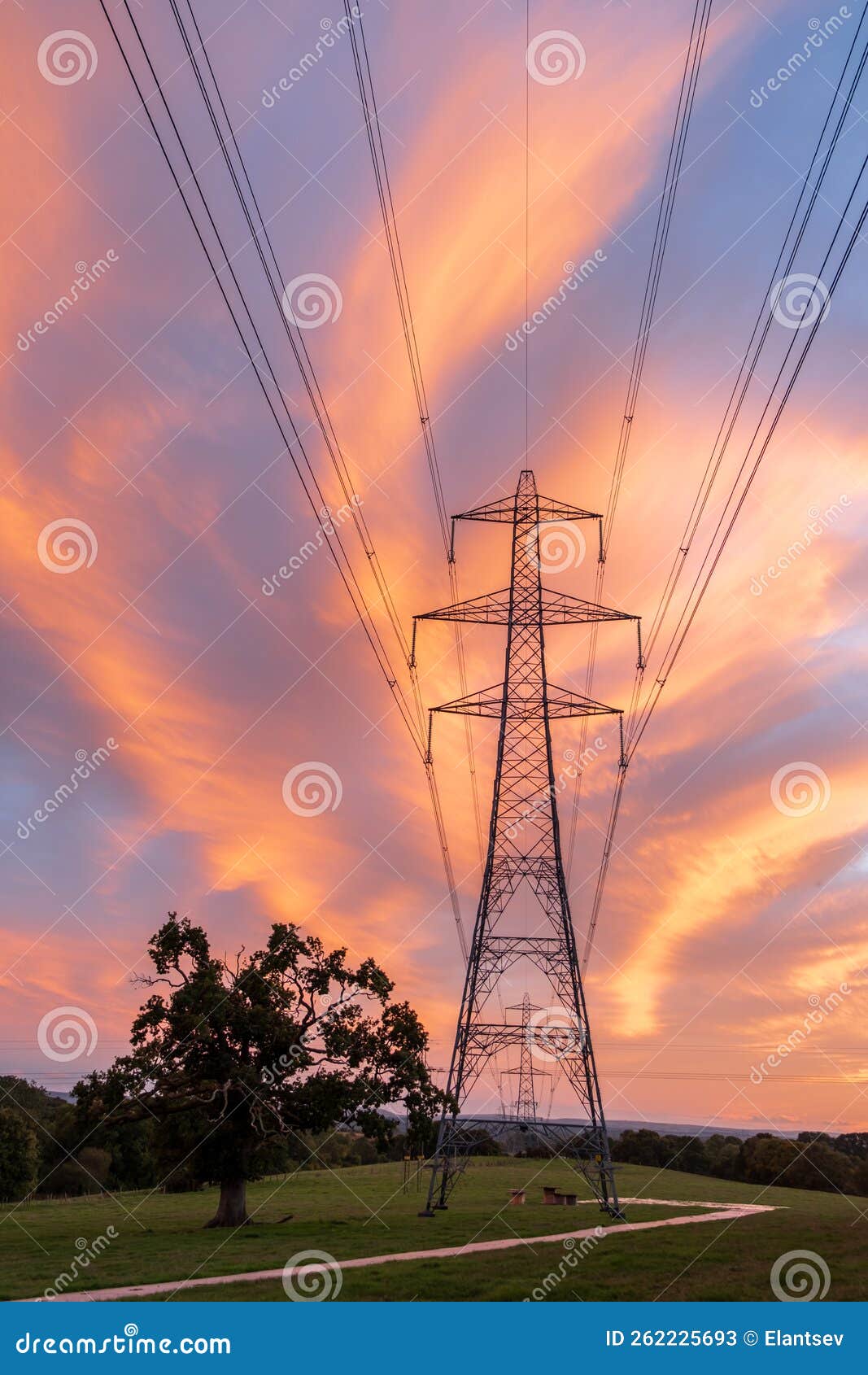 High-voltage Power Lines Passing through a Green Field. Stock Image ... High-voltage Power Lines Passing through a Green Field. Stock Image ...