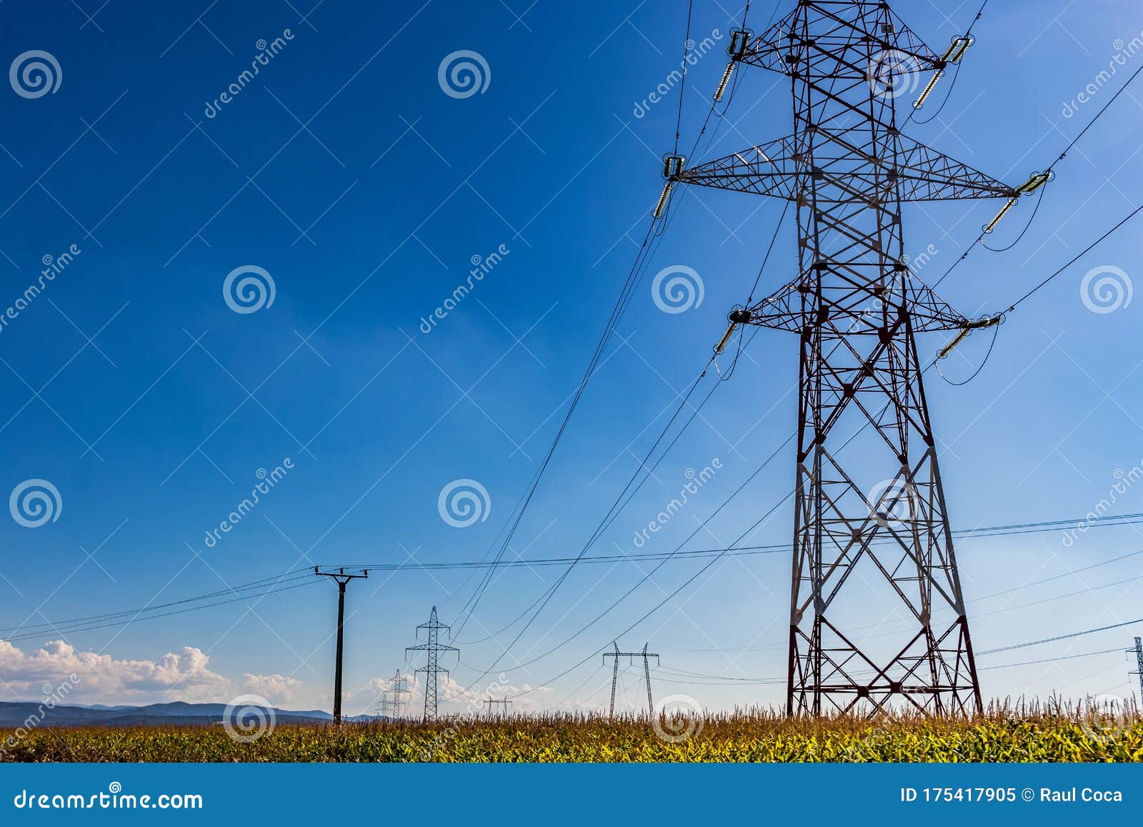 High Voltage Power Lines on Power Pylons in a Corn Field Stock Image ...