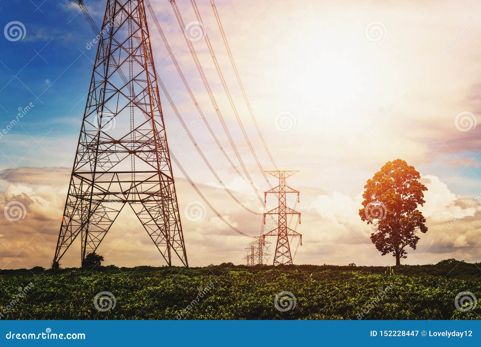 High Voltage Power Supply and Power Line with Sunrise and Tree ...