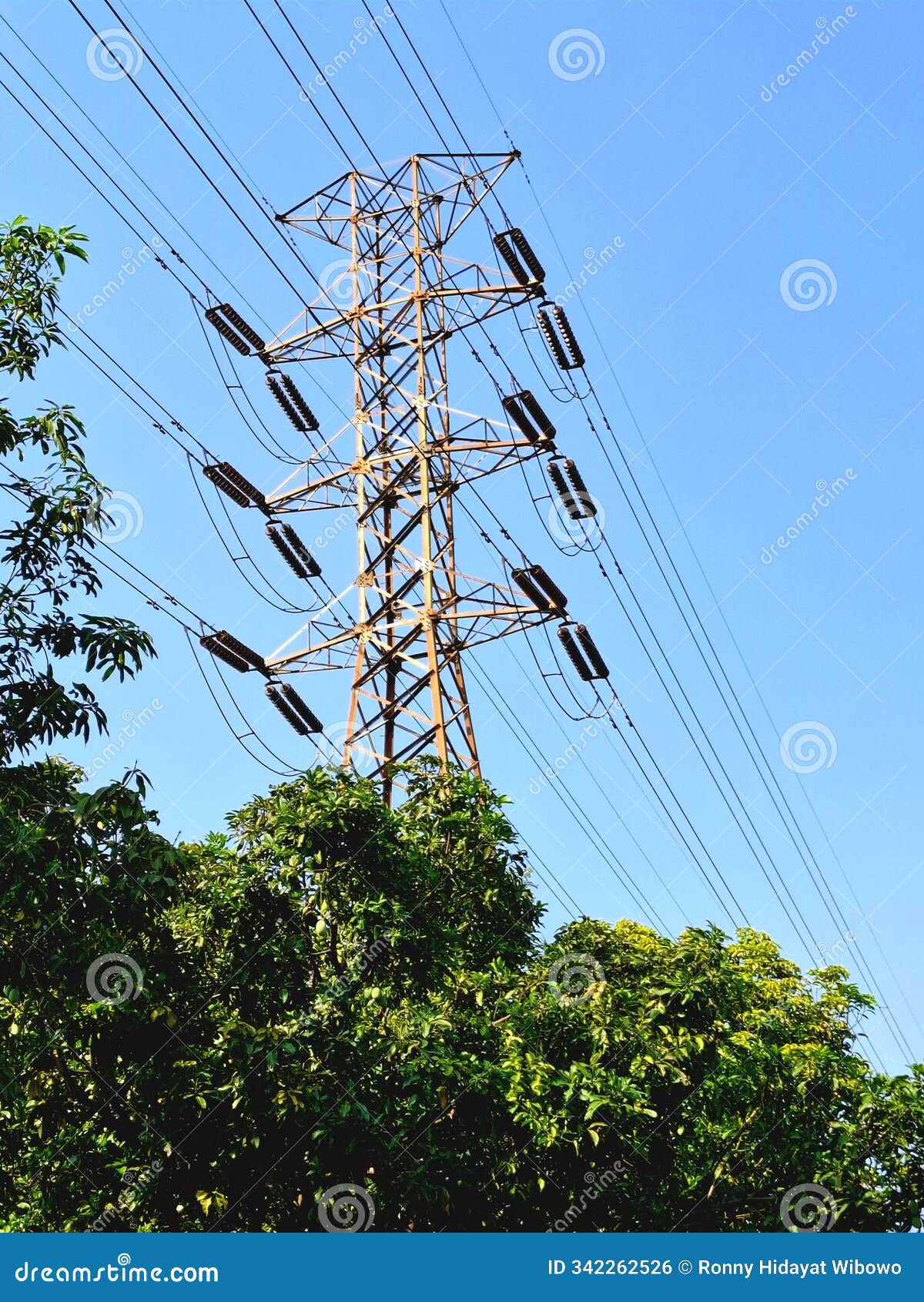 High-voltage Power Towers among the Trees. Stock Photo - Image of ...