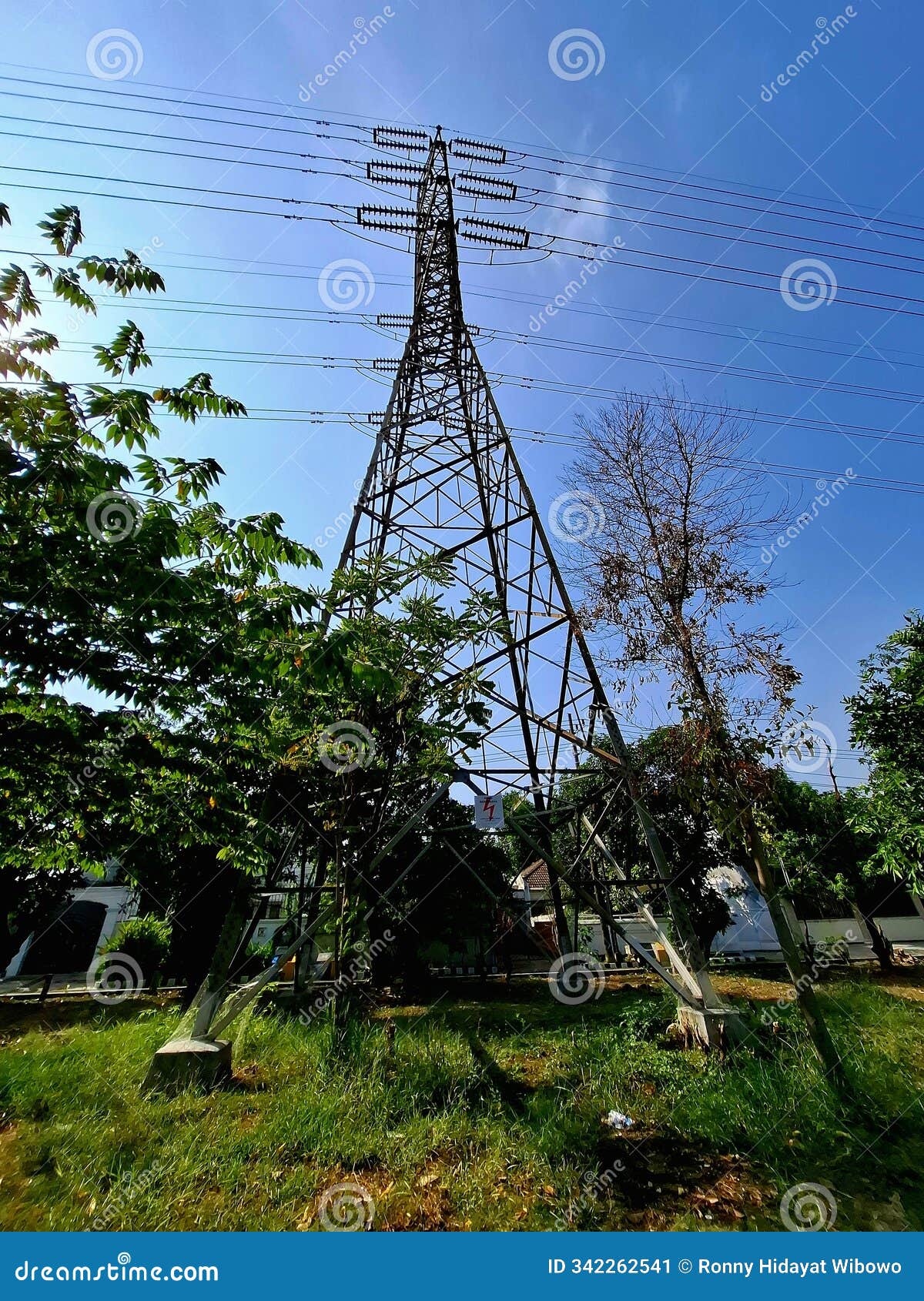 High-voltage Power Towers among the Trees. Stock Image - Image of ...