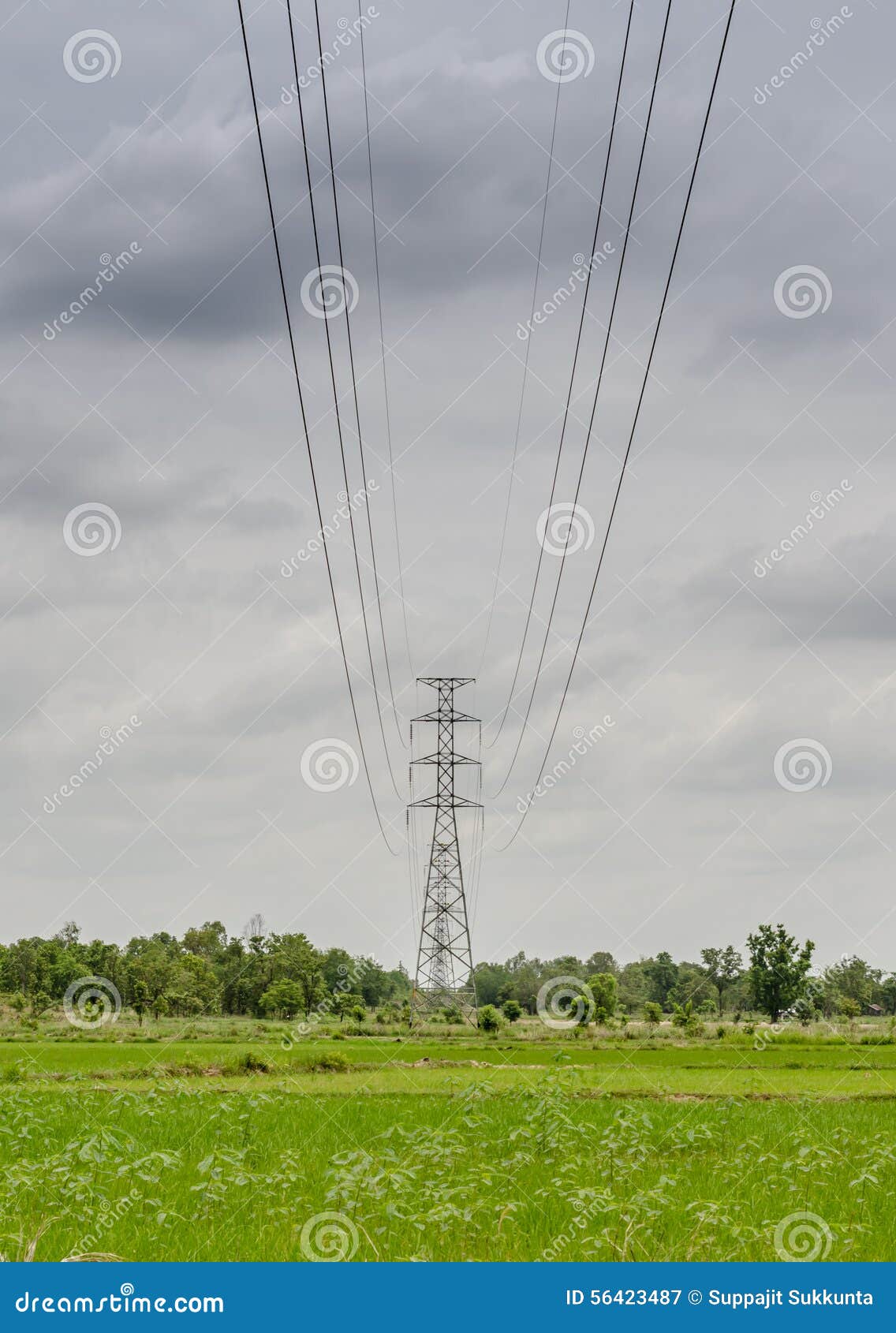 High Voltage Pylon Over the Paddy Land. Stock Image - Image of ...