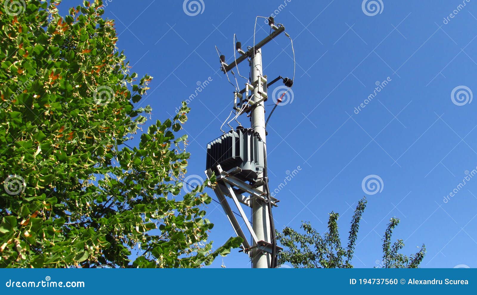 High Fac American Voltage Transformer Electric Pole Trees Stock Photo ...