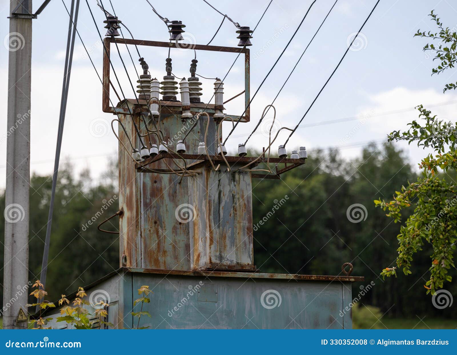 High Voltage Transmission Substation Components: Insulators and ...