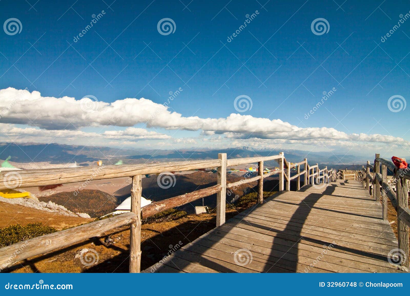 High walk way stock photo. Image of dollar, forest, pedestrian - 32960748