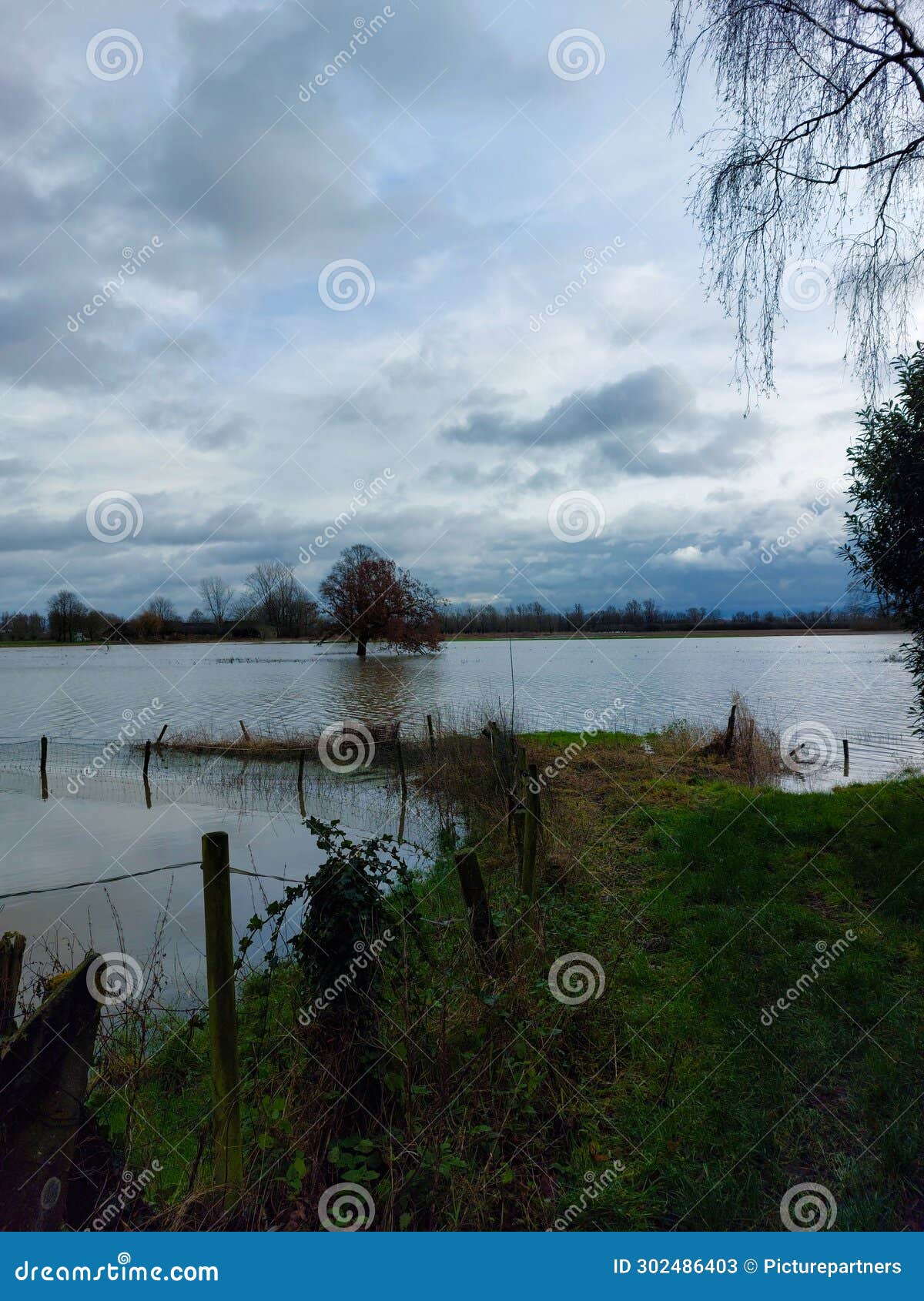 High Water in Holland, Flooding Farm Path Stock Image - Image of flooded, gelderland: 302486403