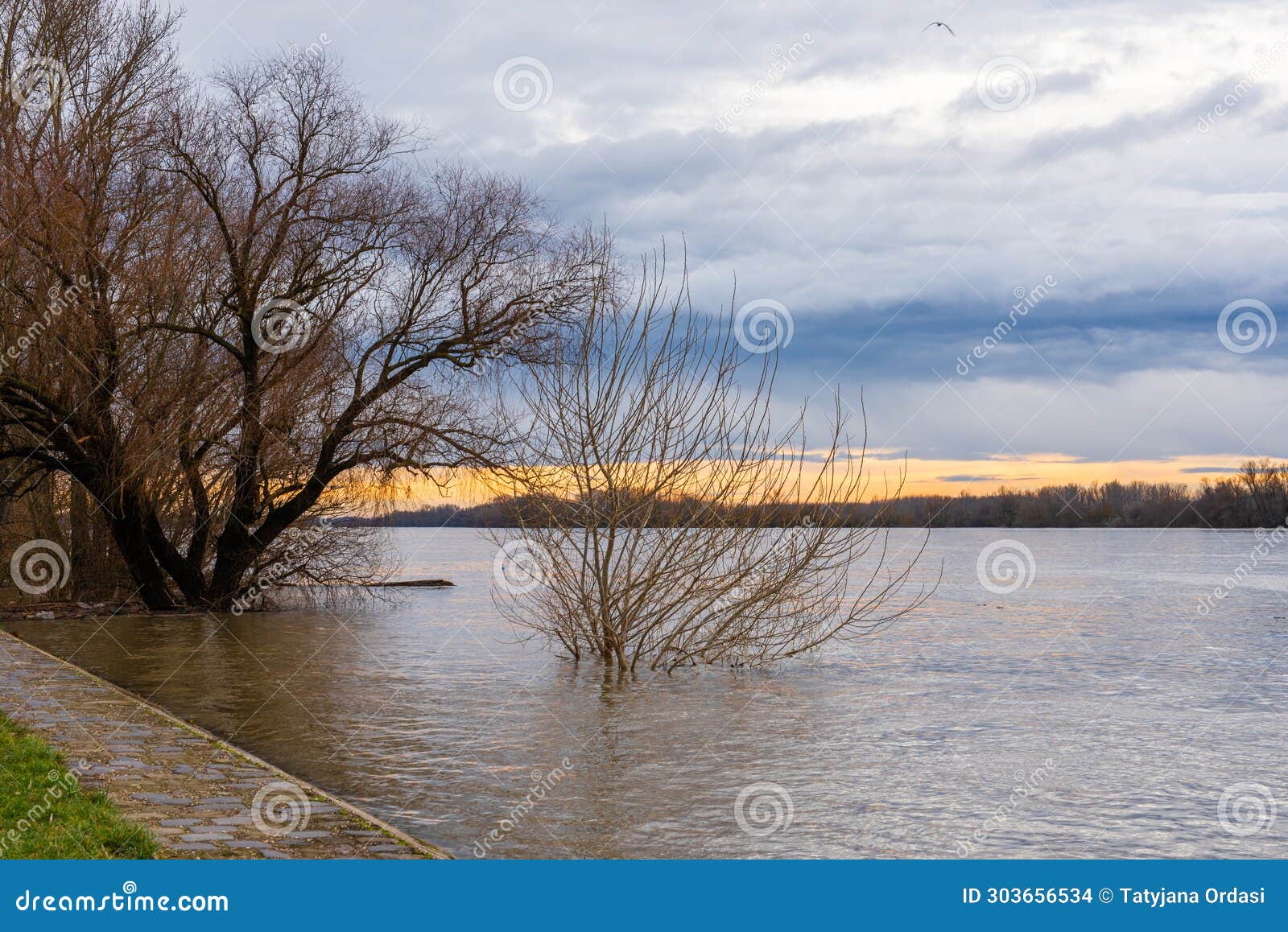High Water Level in the River during a Flood. Trees in the Water Stock ...