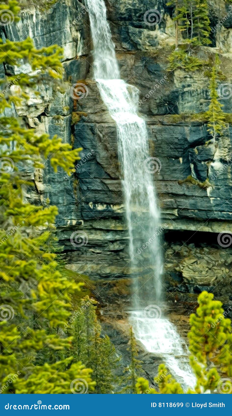 High Waterfall stock image. Image of water, trees, rockies - 8118699