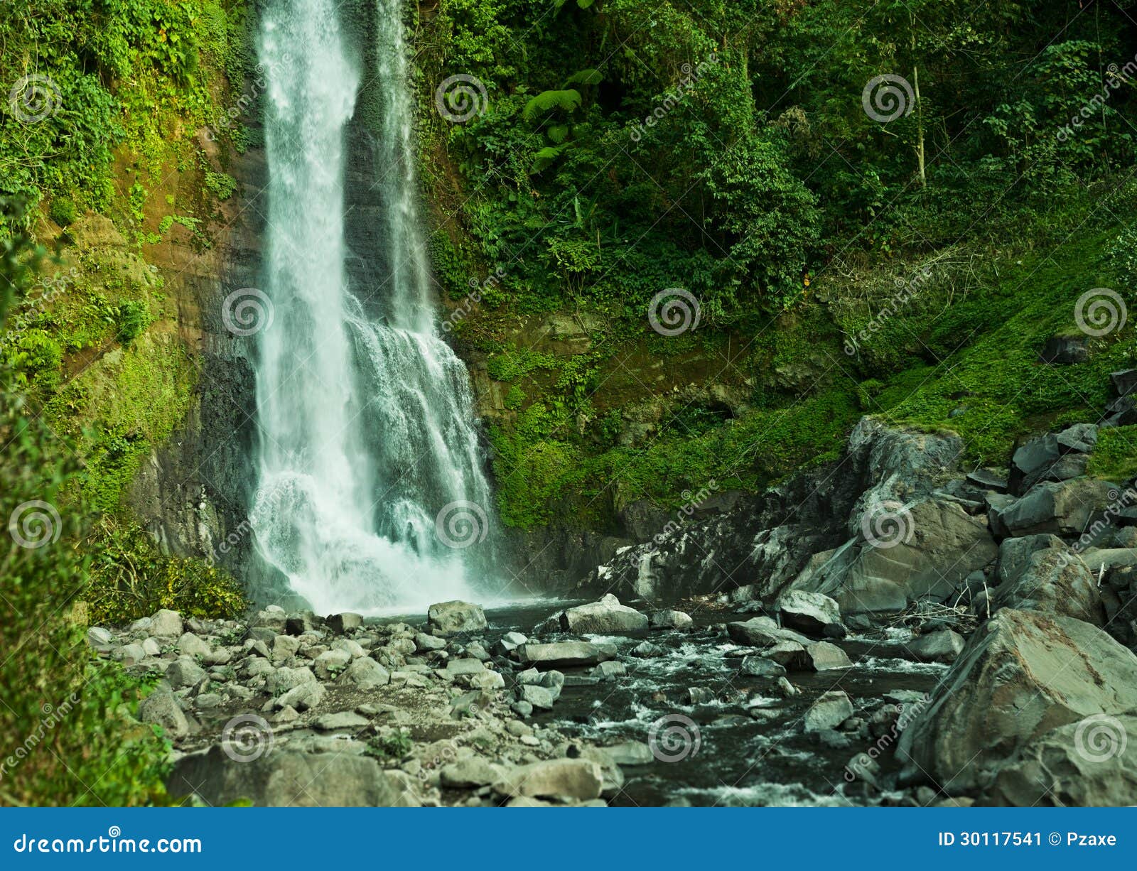 Waterfall in Green Forest with Stones on Front Stock Image - Image of ...