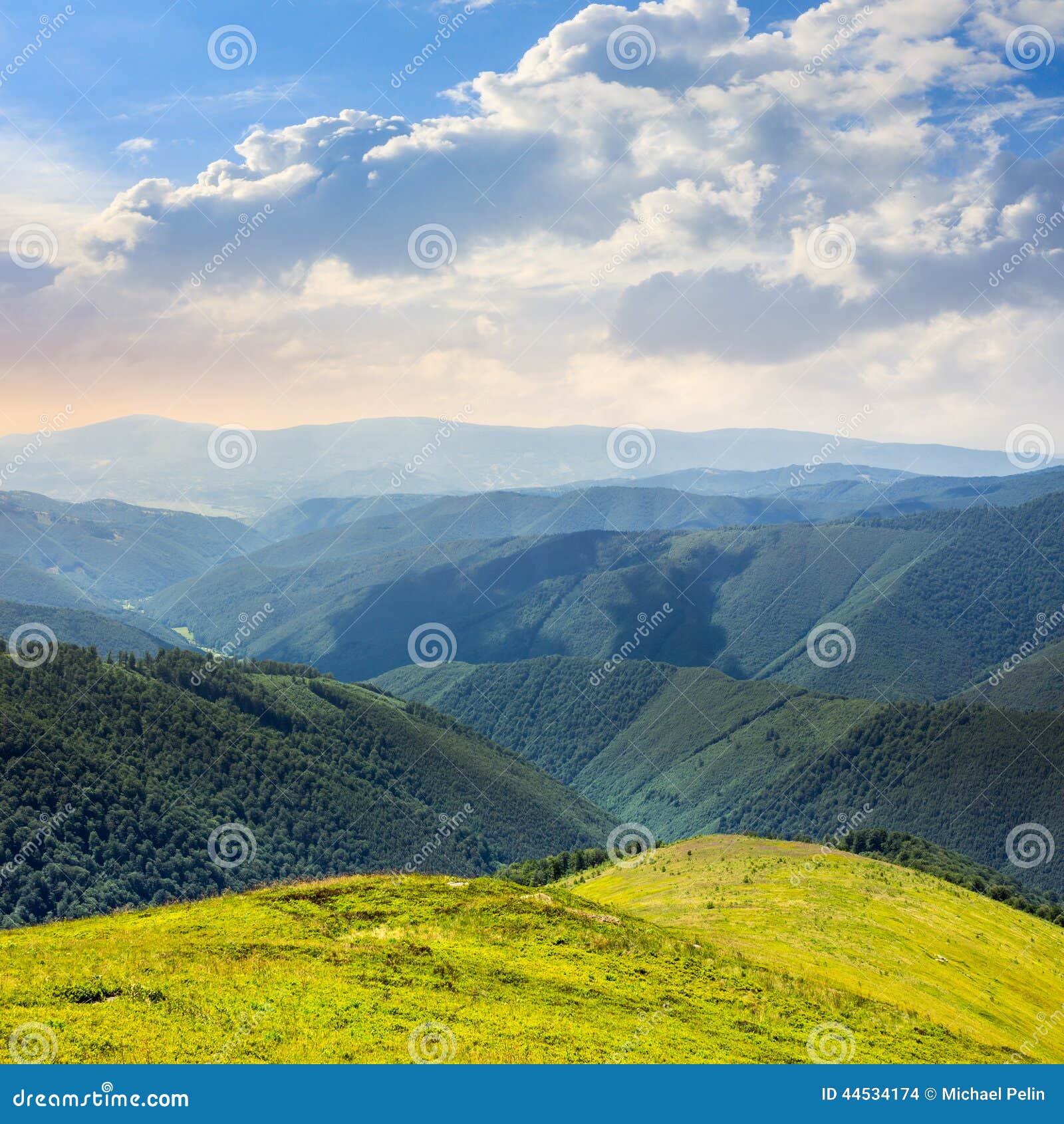 High Wild Plants at the Mountain Top Stock Photo - Image of hill ...