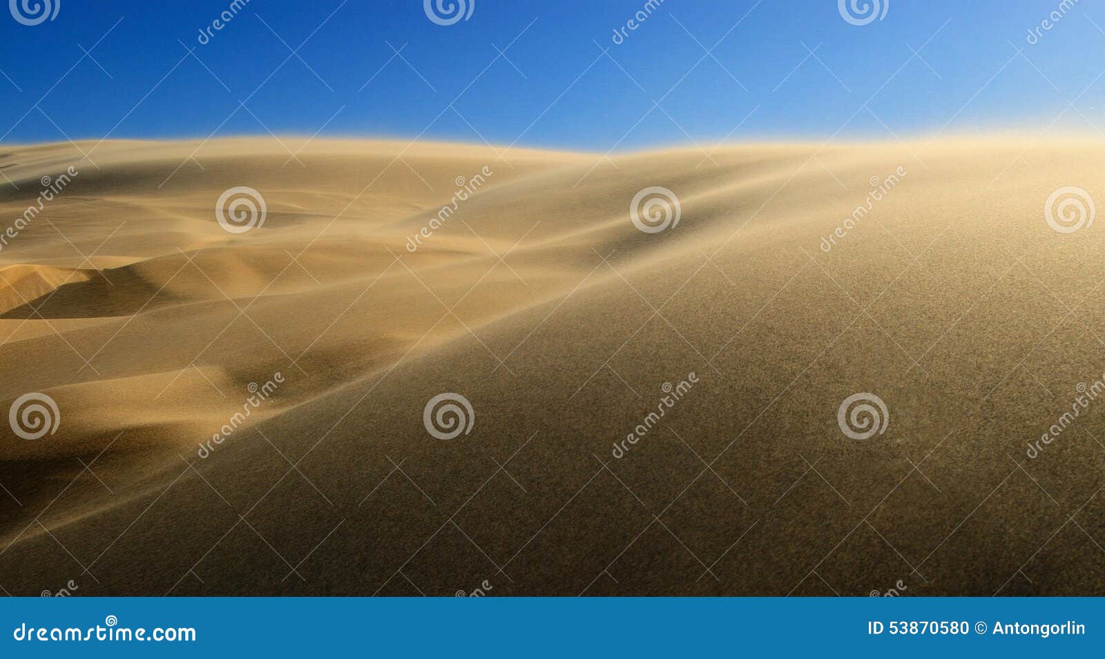 High wind in desert stock photo. Image of dune, scene - 53870580