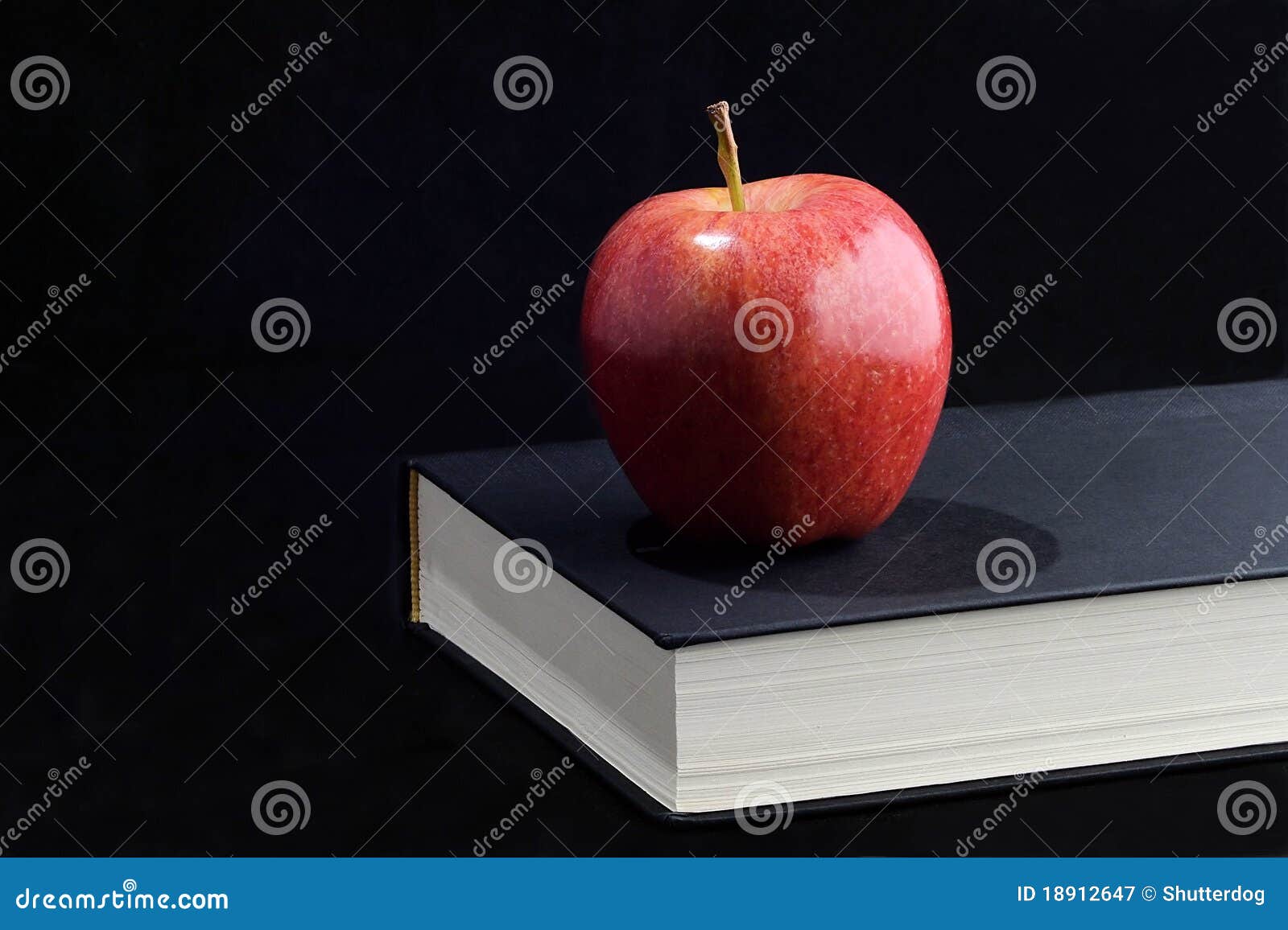 Unopened Book Stock Photos - Free & Royalty-Free Stock Photos from ...