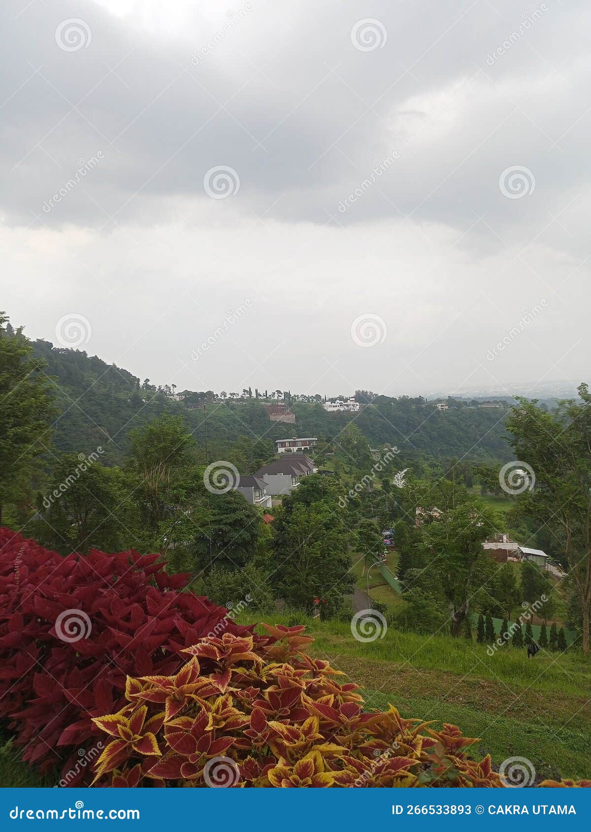 The Highest Land in Est Java Stock Image - Image of garden, valley ...