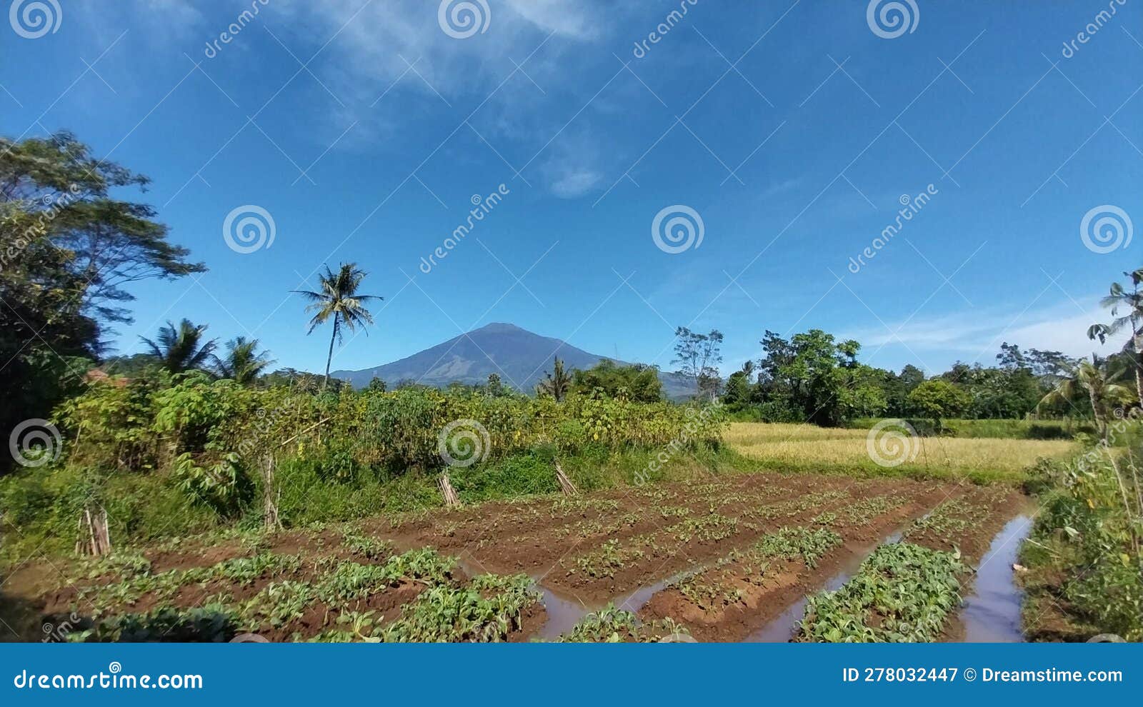The Highest Mountain in West Java, Indonesia, Mount Ciremai Stock Image ...