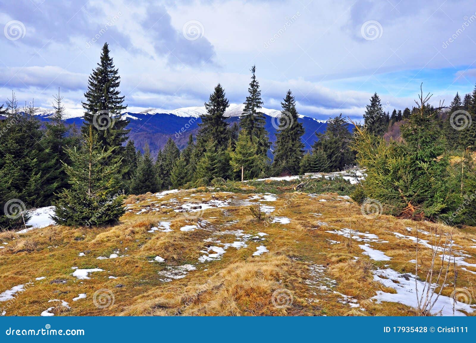 Highest Snowy Mountain Pick Stock Photo - Image of branch, landscape ...