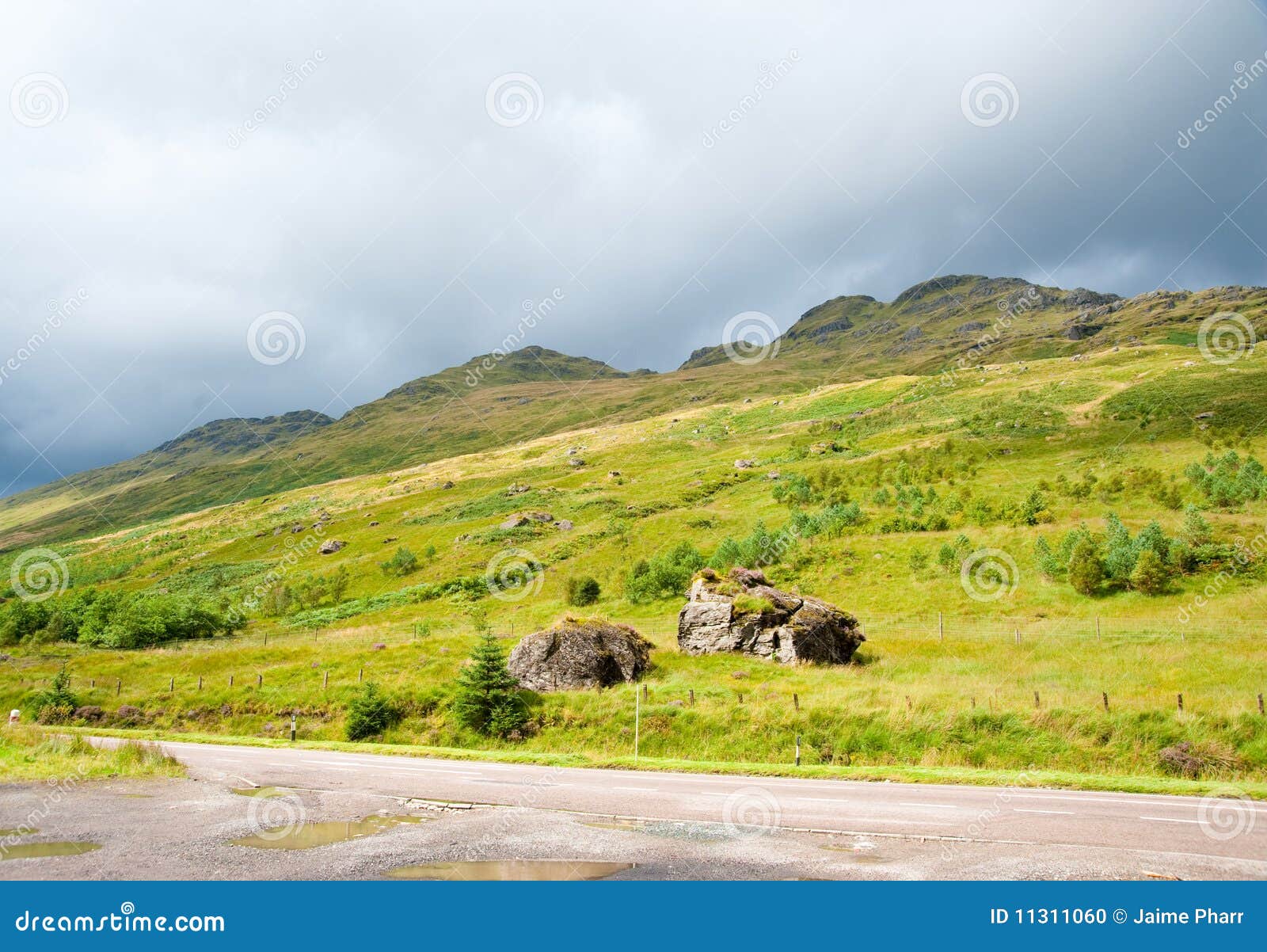 Highland hill stock photo. Image of tree, environment - 11311060