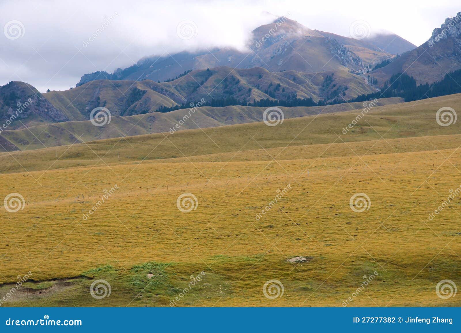 Highland pasture stock photo. Image of pasture, scenery - 27277382