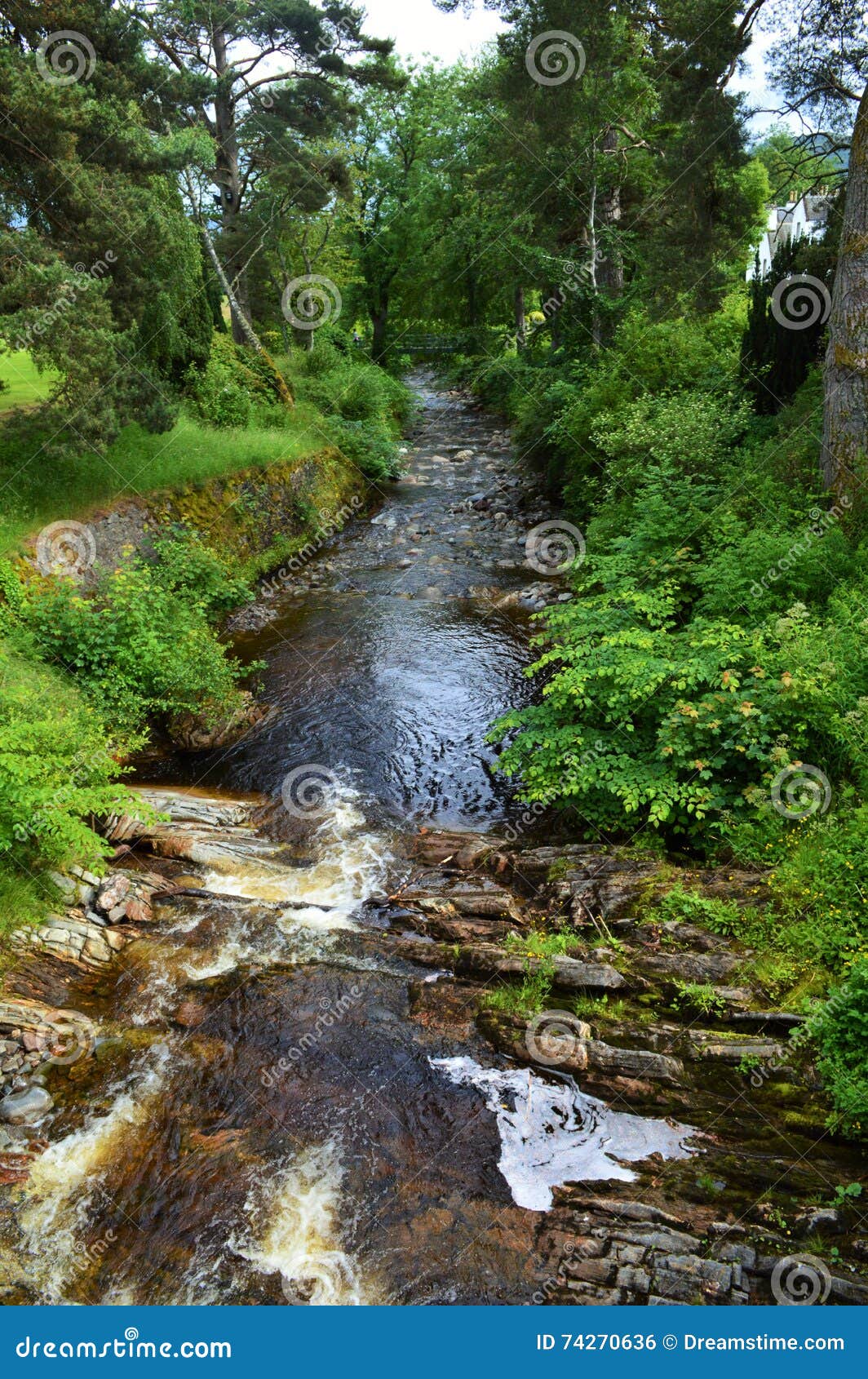 Highland Stream in Scotland Stock Photo - Image of stream, foliage ...