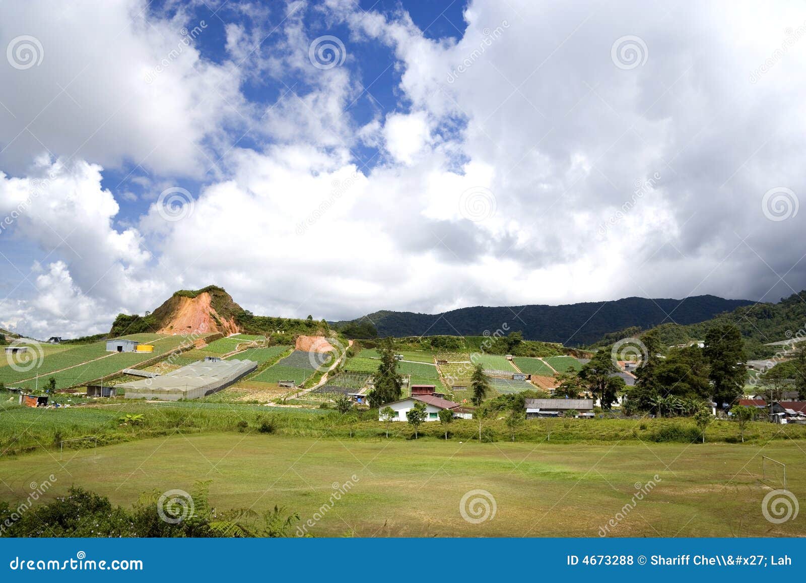 Highland Vegetable Farm stock photo. Image of highlands - 4673288