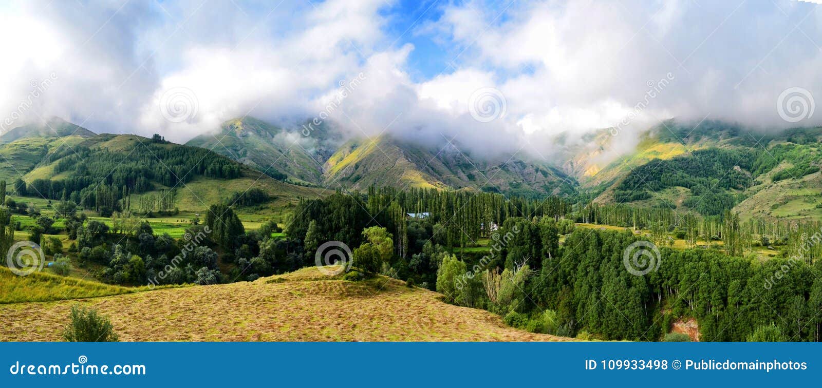 Highland, Vegetation, Mountainous Landforms, Mount Scenery Picture ...