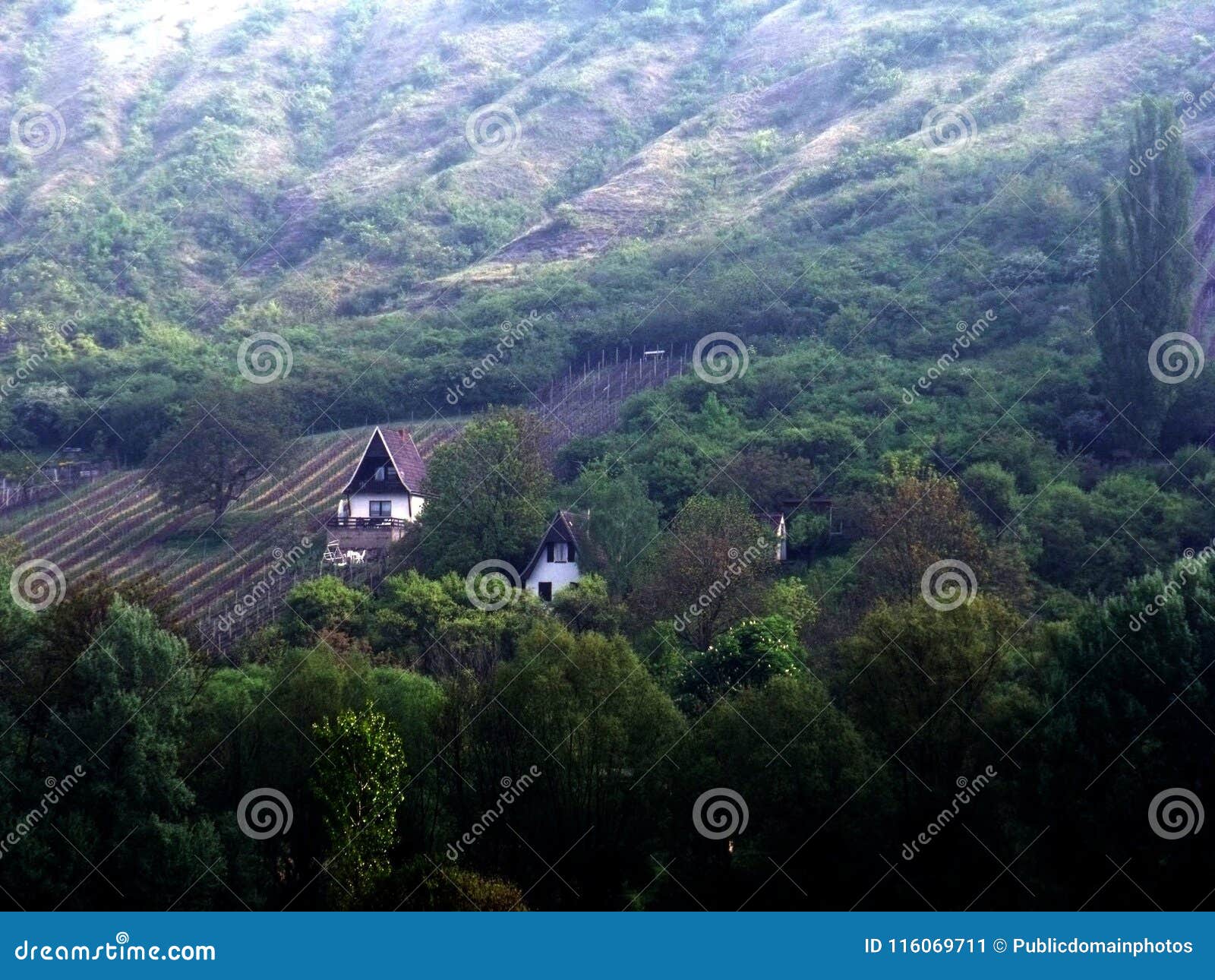 Highland, Vegetation, Mountainous Landforms, Nature Picture. Image ...