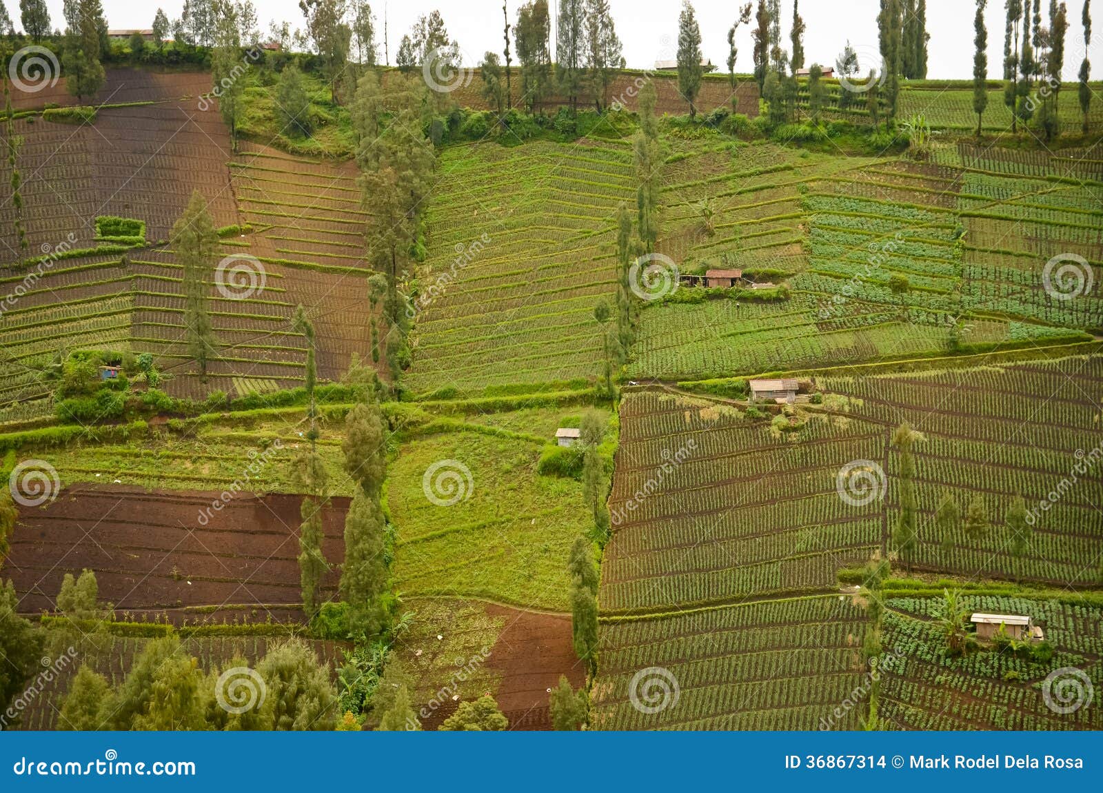 Highland Village in Java, Indonesia Stock Photo - Image of ngadas ...