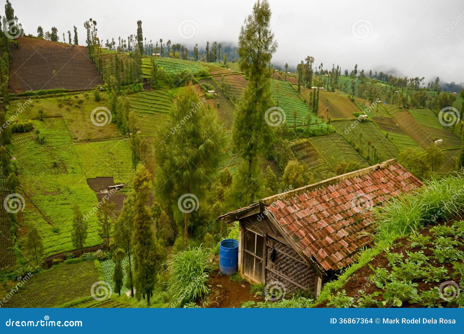 Highland Village in Java, Indonesia Stock Photo - Image of natural ...