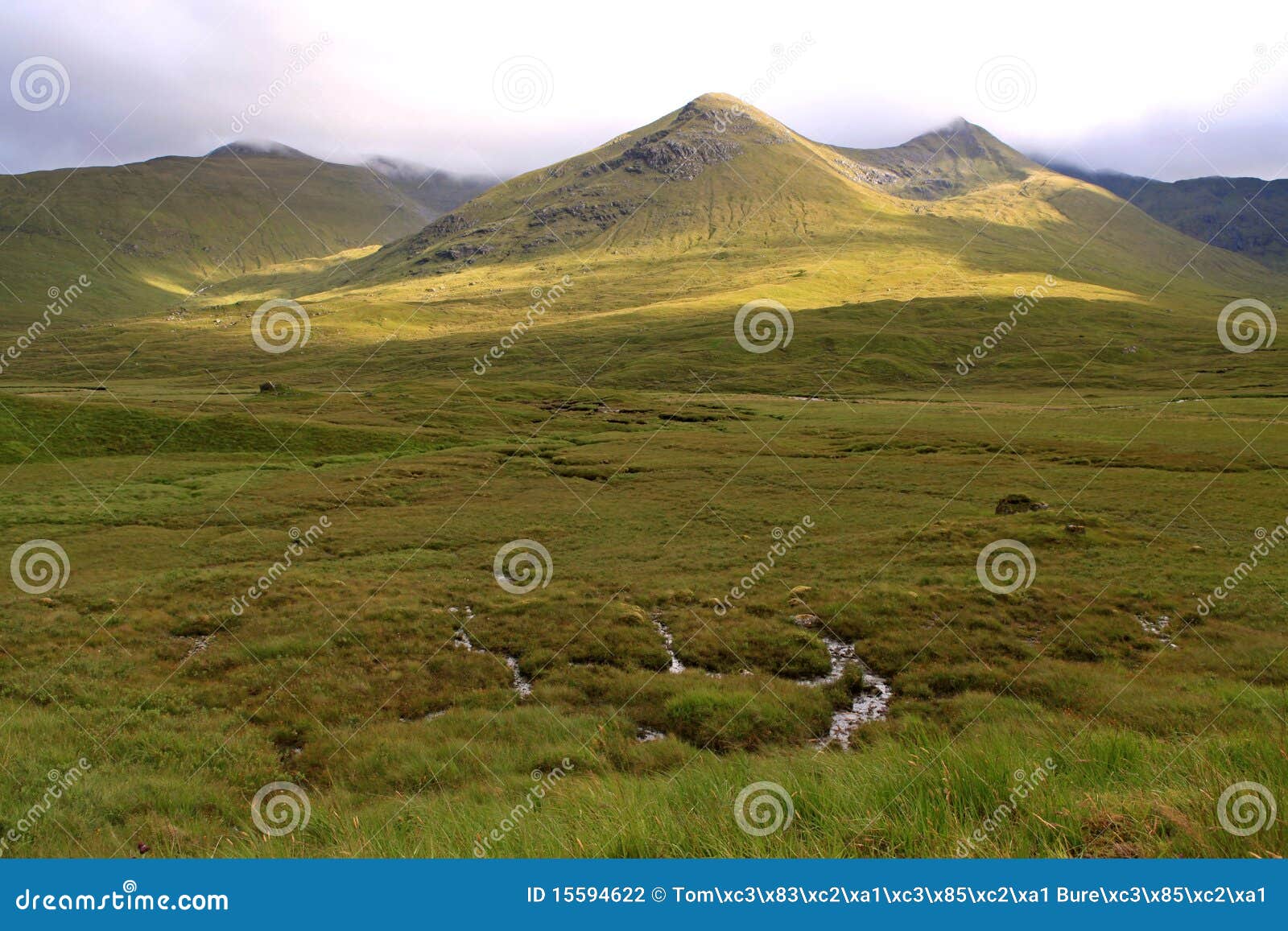 Highlands stock photo. Image of field, pasture, west - 15594622