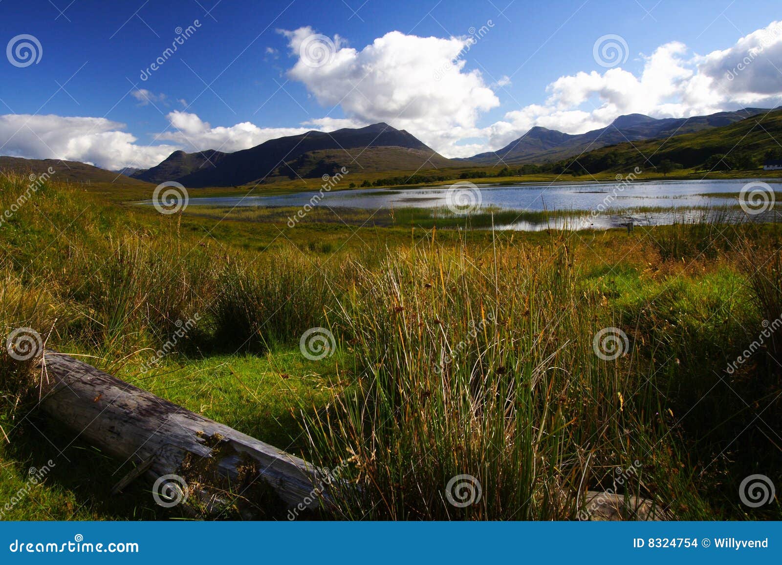 The highlands stock photo. Image of wild, hill, nature - 8324754