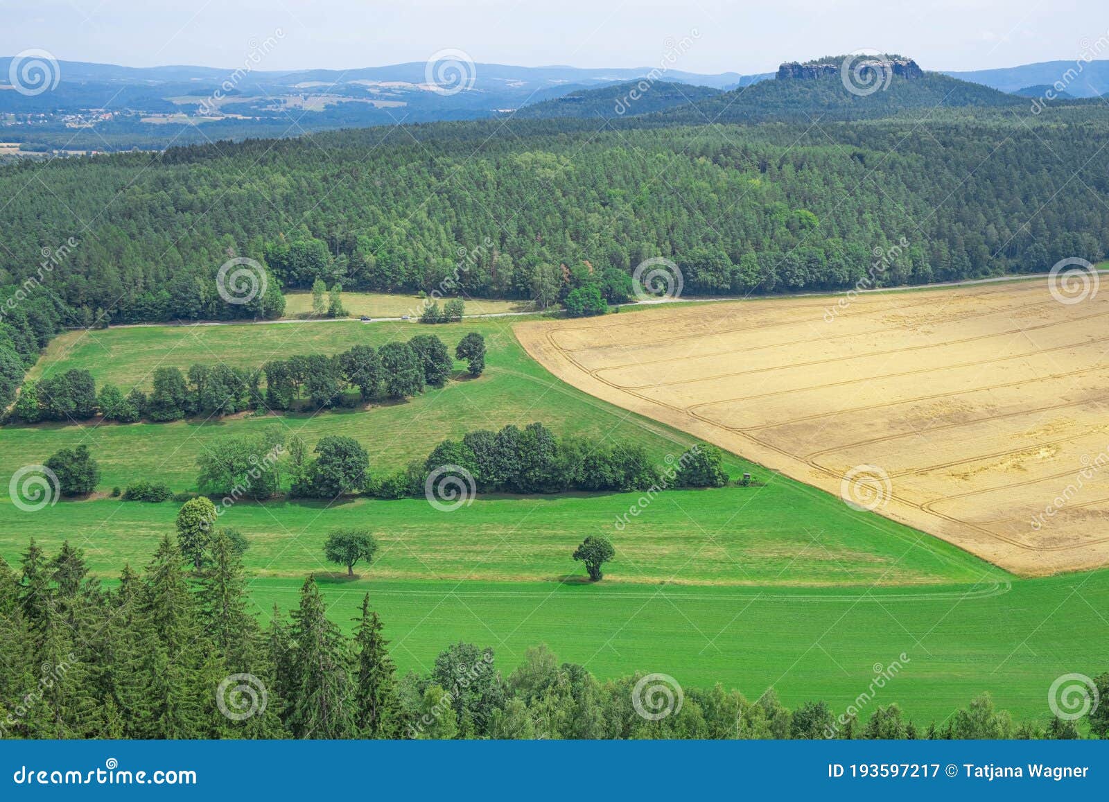 Highlands, Dense Forest and Wheat Fields Stock Image - Image of ease ...