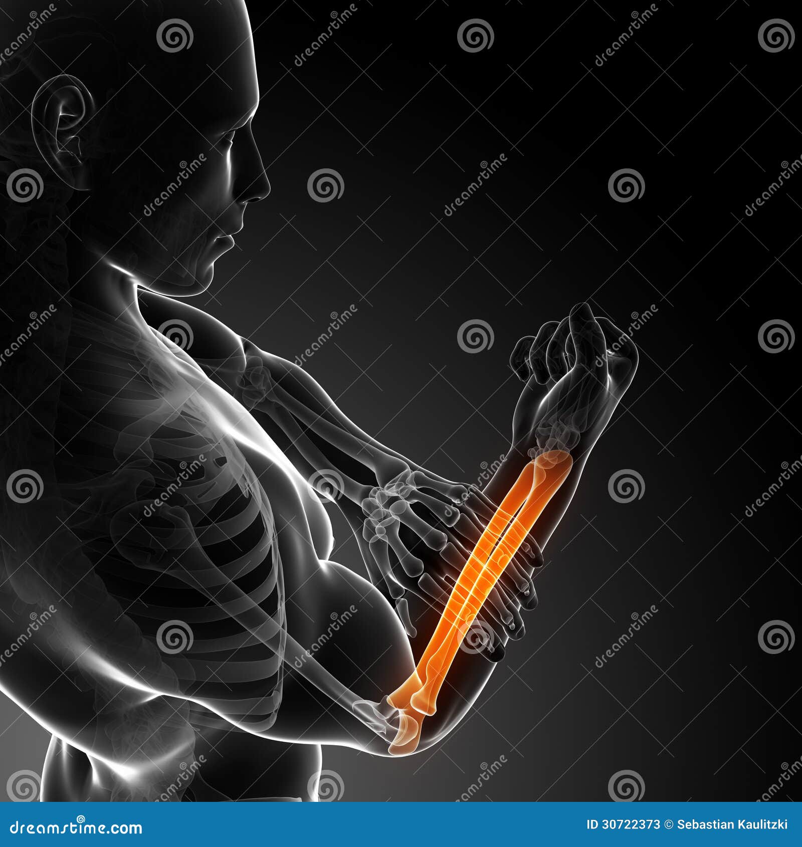 Highlighted arm stock illustration. Illustration of health - 30722373