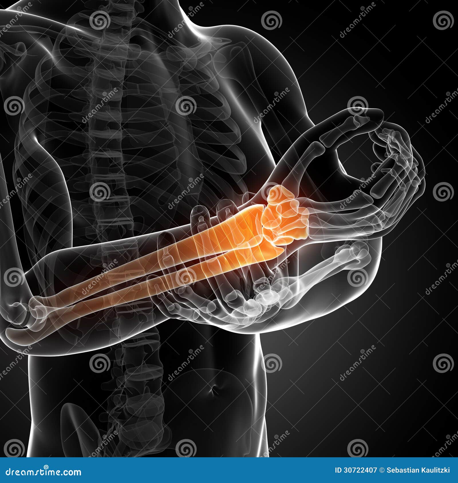 Highlighted Radius Royalty-Free Cartoon | CartoonDealer.com #30723845