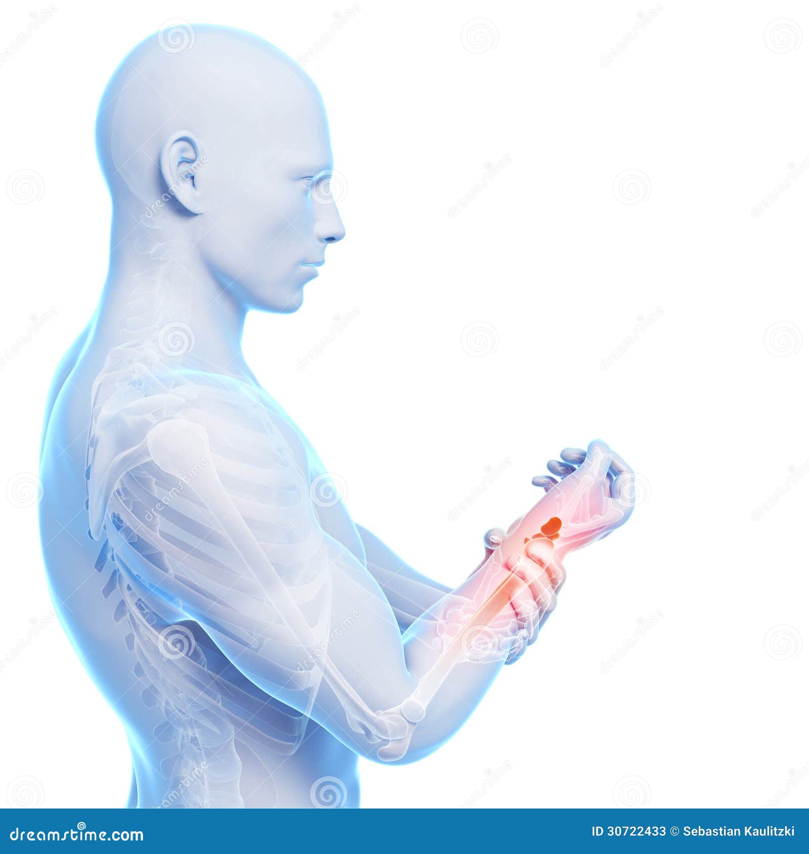 Highlighted Radius Royalty-Free Cartoon | CartoonDealer.com #30723845