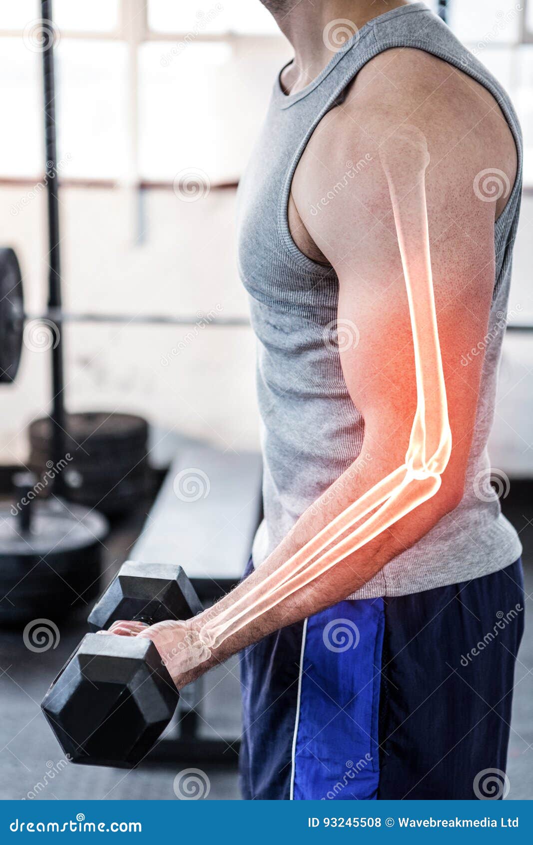 Highlighted Arm of Strong Man Lifting Weights at Gym Stock Photo ...