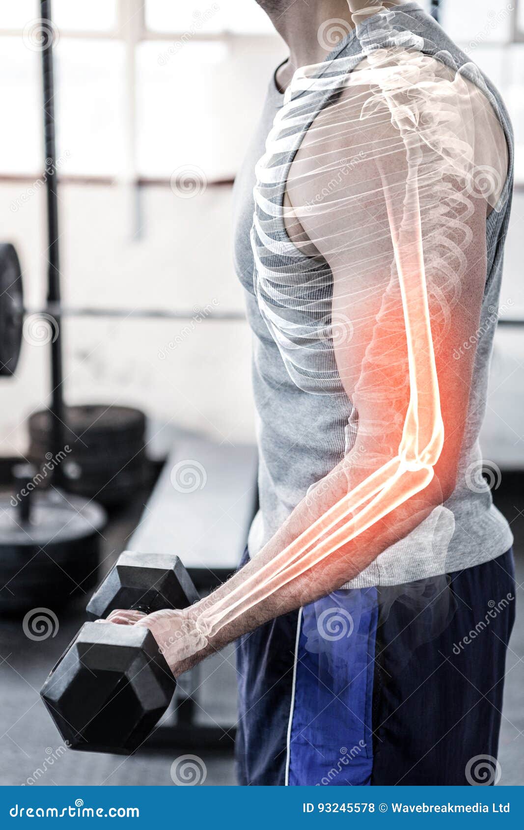 Highlighted Arm of Strong Man Lifting Weights at Gym Stock Photo ...