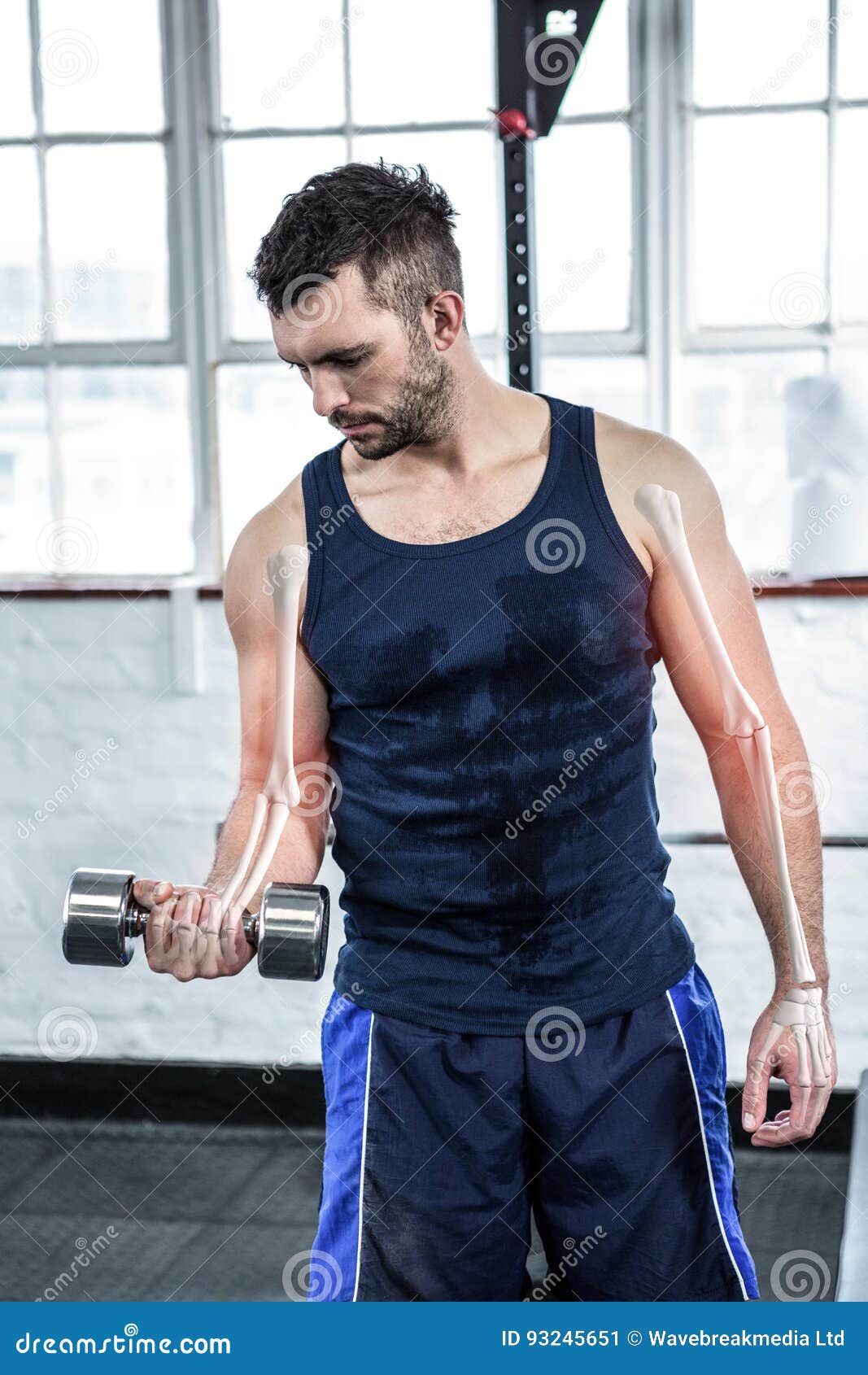 Highlighted Arm of Strong Man Lifting Weights at Gym Stock Image ...